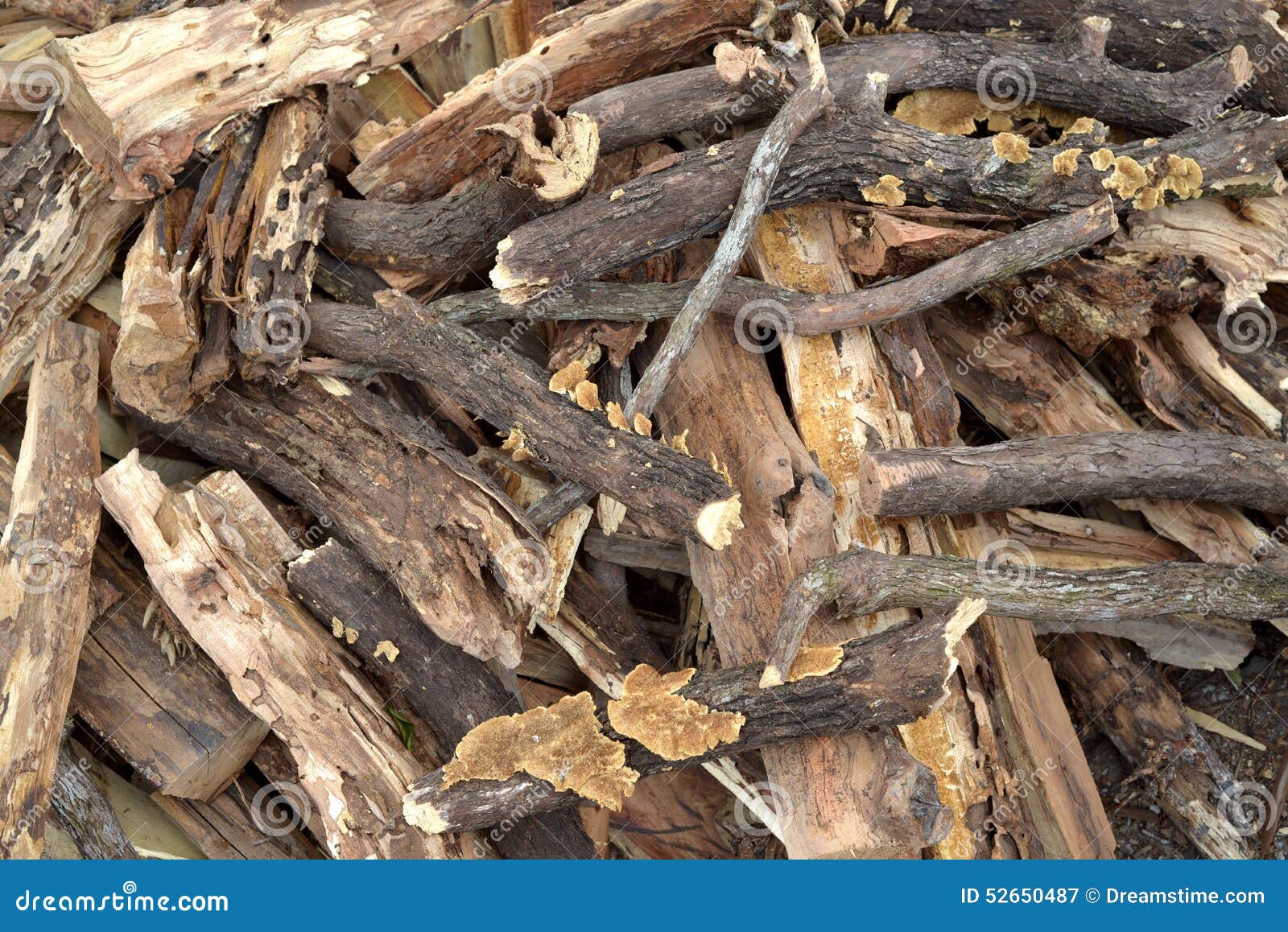 Some logs on the ground stock image. Image of sawn, background - 52650487