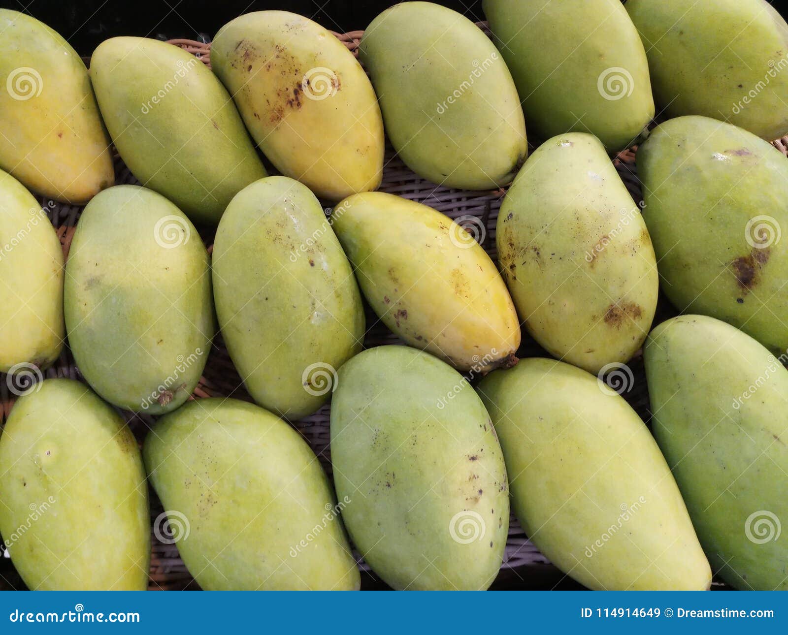 Kaew mango stock image. Image of call, thailand, breed - 114914649