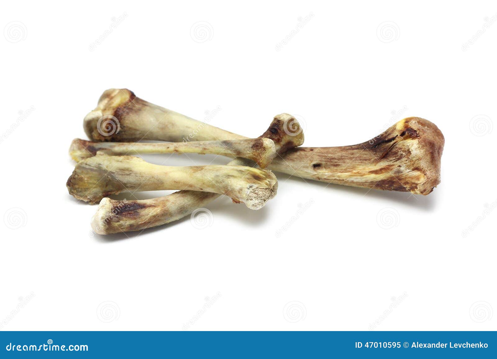 Chicken Bone Voodoo Pix