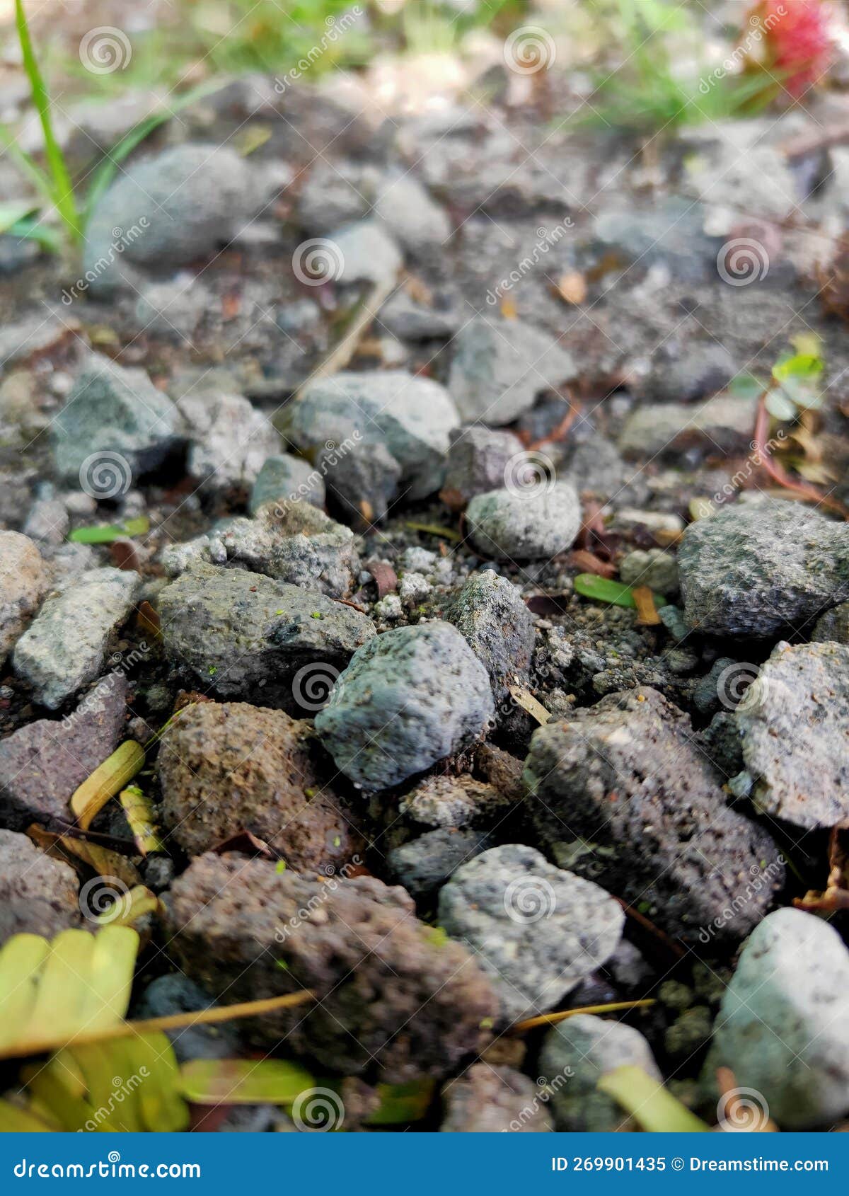 Some Pebbles Piled on the Ground Stock Image - Image of rocks, pebbles ...