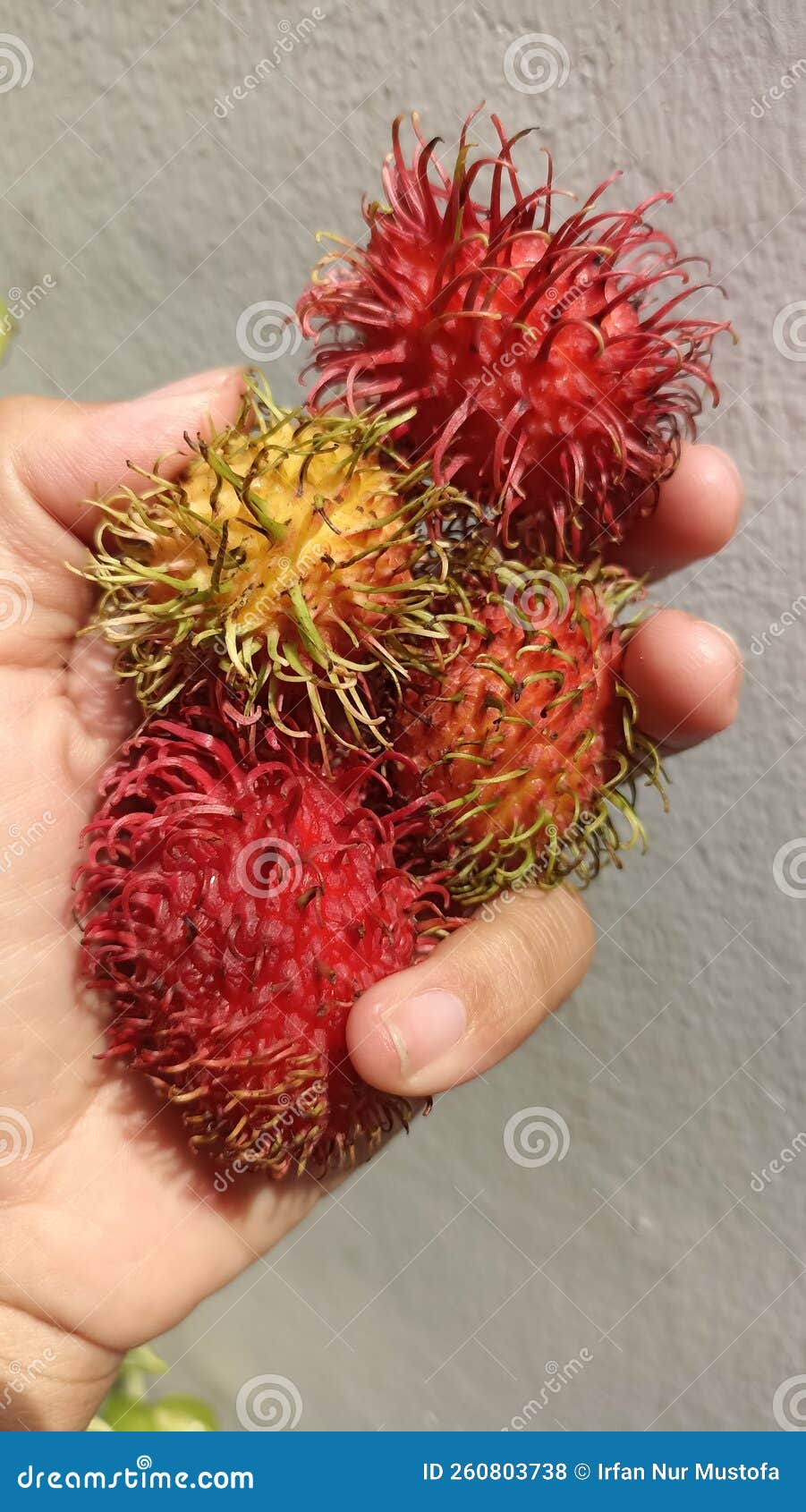 Some Rambutan Fruit, Tropical Red and Yellow Stock Photo - Image of ...