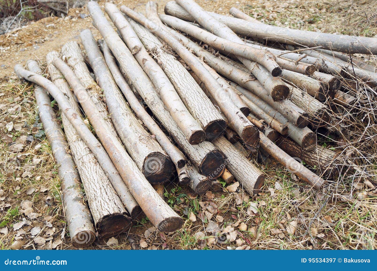 Some raw wooden logs stock image. Image of home, fashioned - 95534397