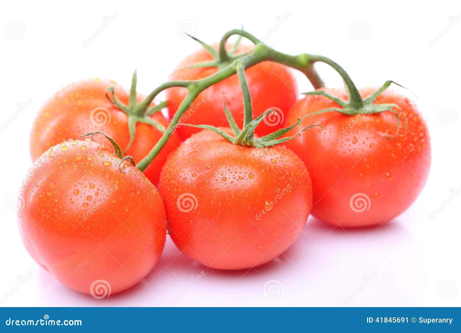 Some Ripe Tomatoes on a Branch Stock Image - Image of still, life: 41845691