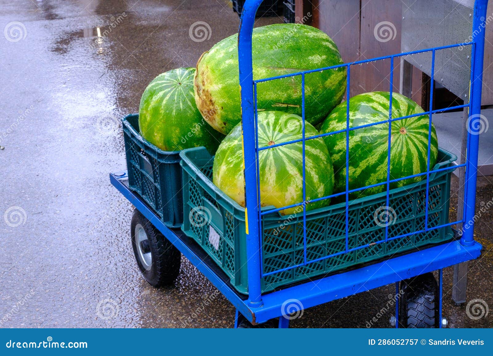 Some Ripe Watermelons Stacked on a Blue Cart Stock Image - Image of ...
