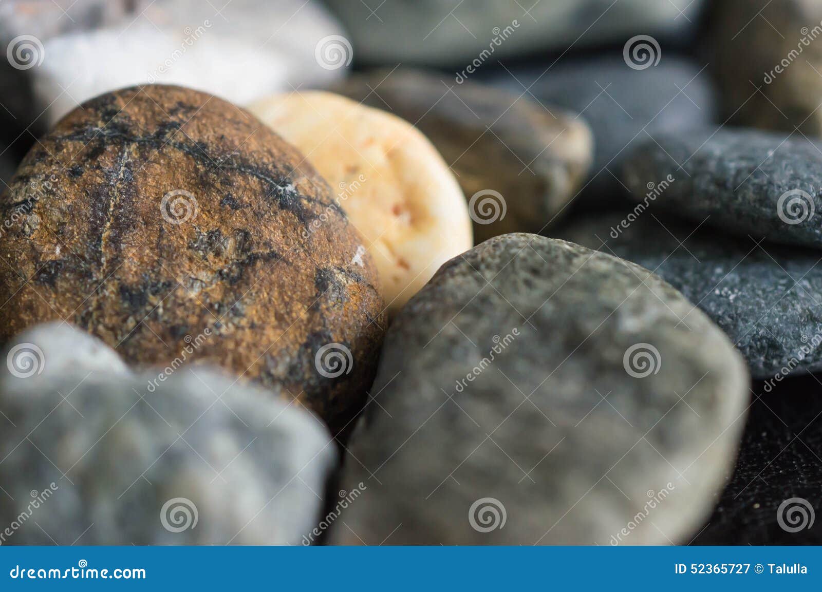 Some Scattered Pebble Close Up Stock Image - Image of geology, rock ...