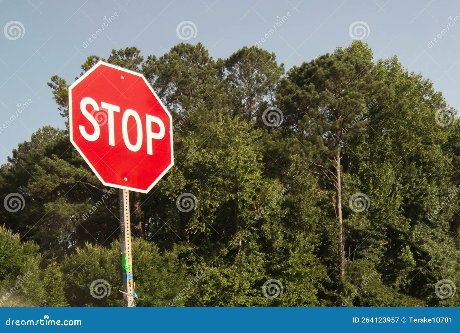 Some Sky Stop Sign with Trees in the Background Stock Image - Image of ...