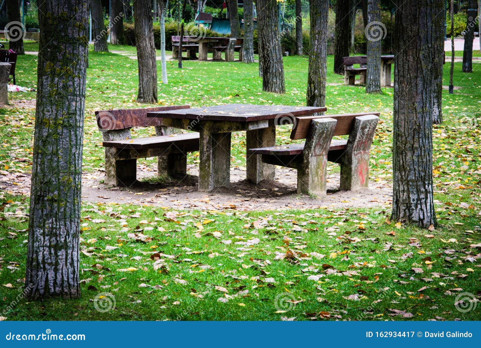 Stone Table and Bench in the Forest Surrounded by Trees Stock Image ...