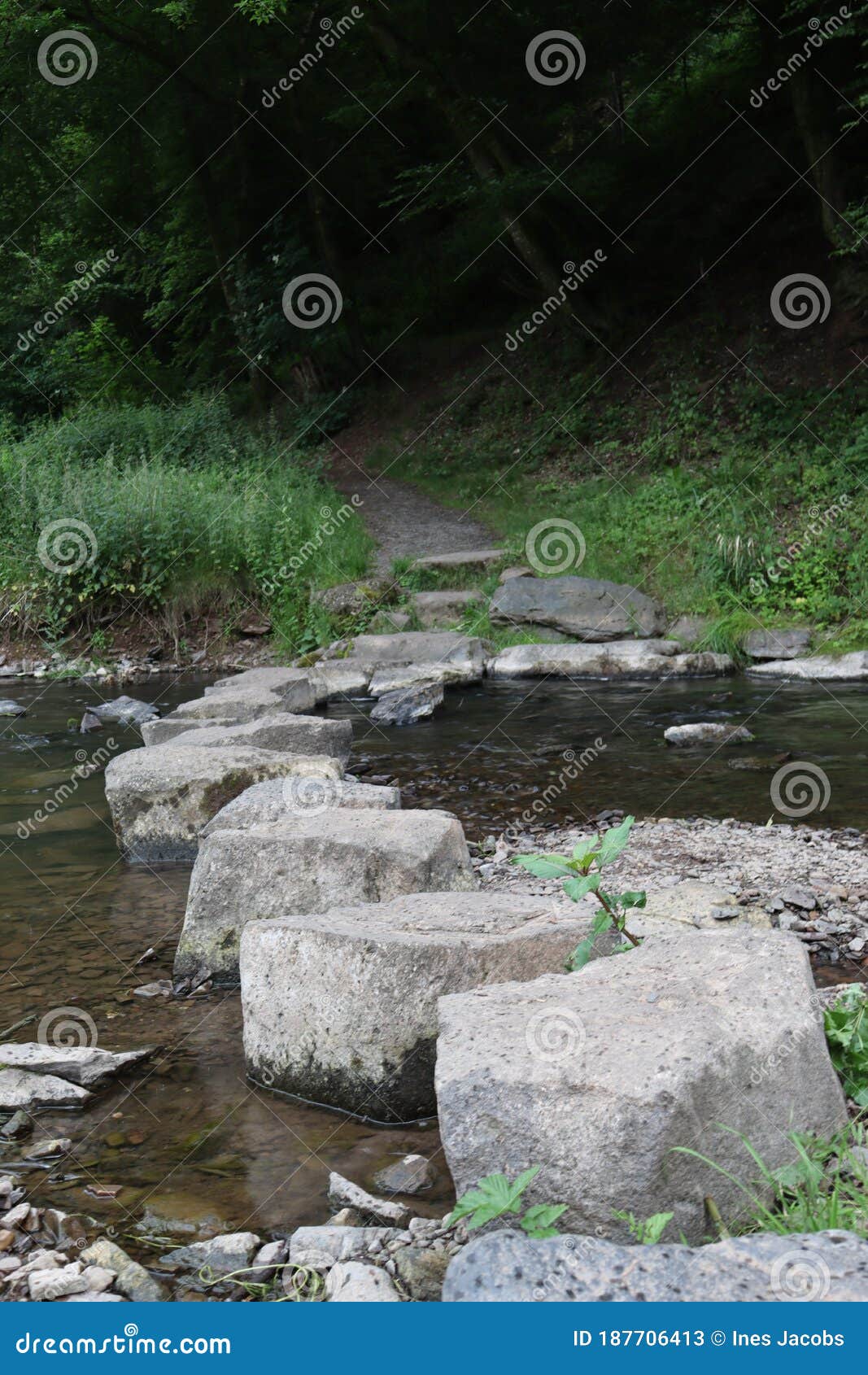 Stones Building a Bridge Over a River Stock Image - Image of river ...