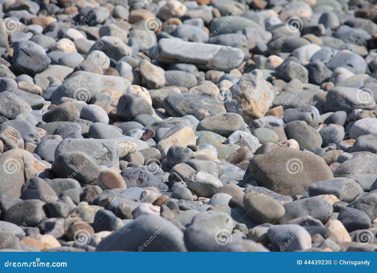 Some Stones and Rocks on a Sandy Beach Background Stock Photo - Image ...