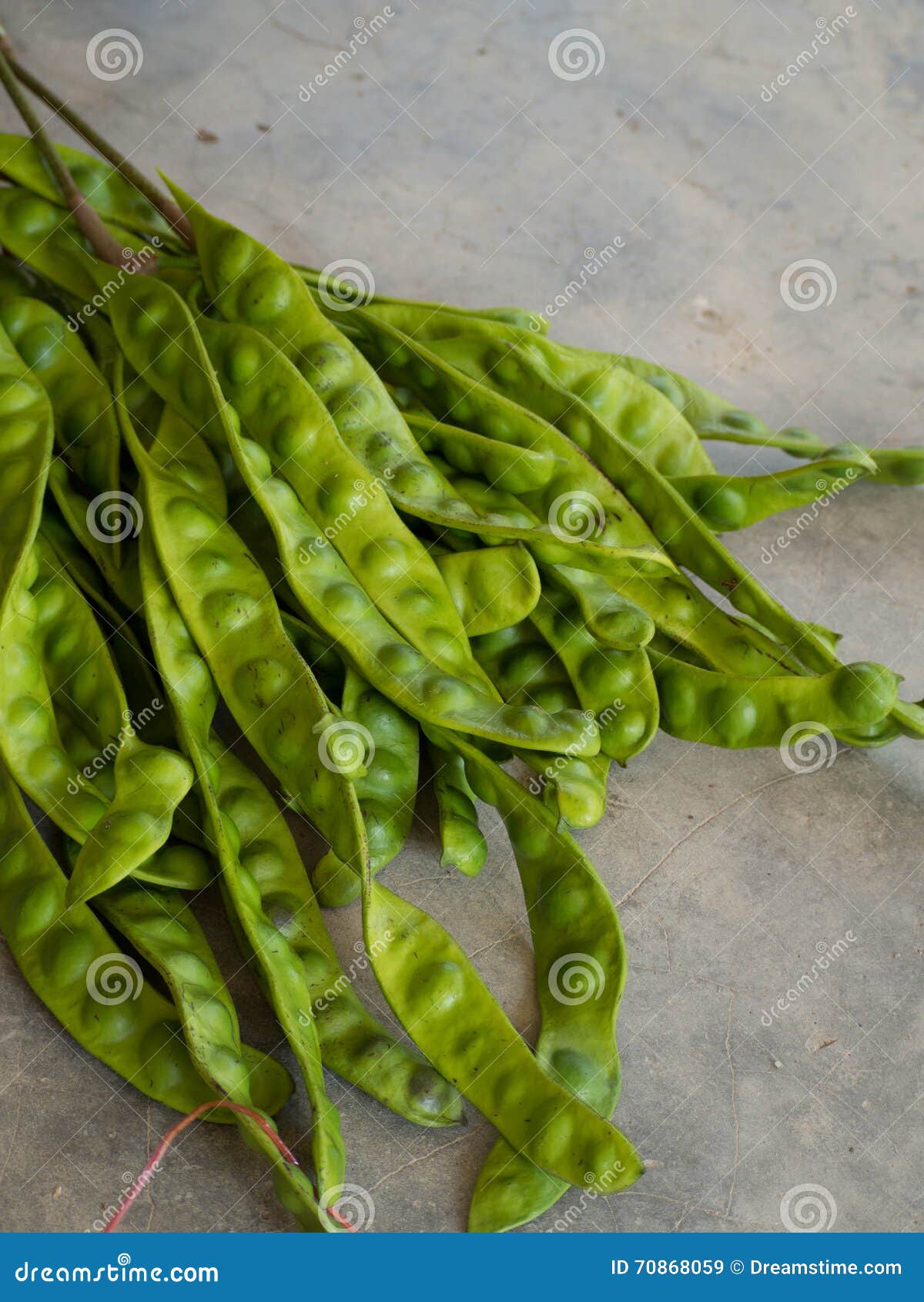 Some Tang Fruit Stock Photos - Free & Royalty-Free Stock Photos from ...