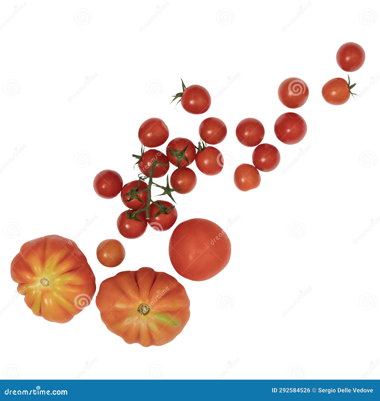 Some tomatoes stock photo. Image of freshness, nutrition - 292584526