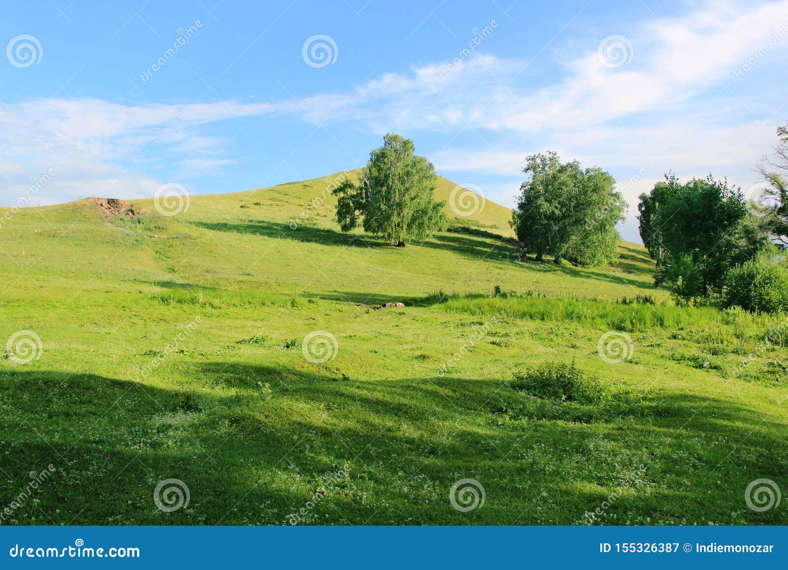 Some Trees on a Green Hill at One Summer Day Stock Image - Image of ...
