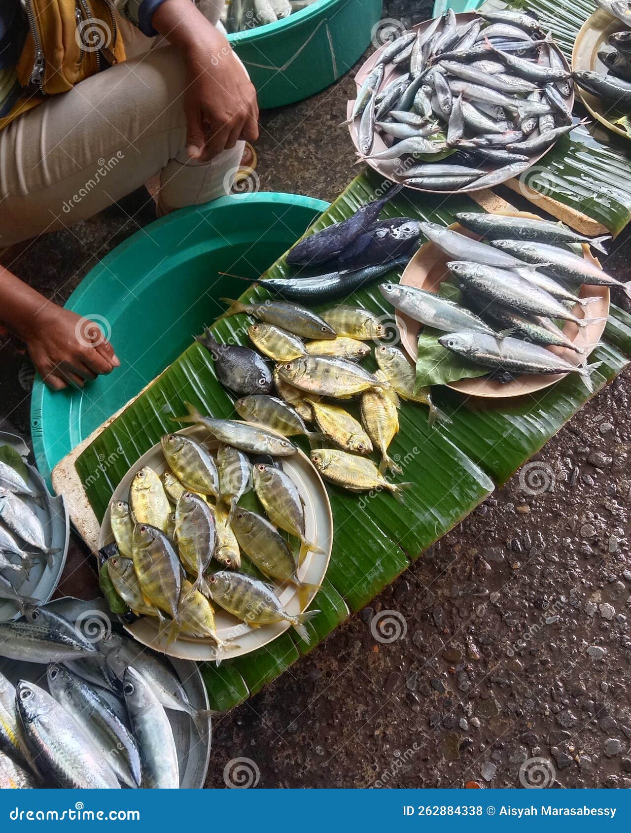 These are Some of the Types of Fish that I Photographed Stock Photo ...