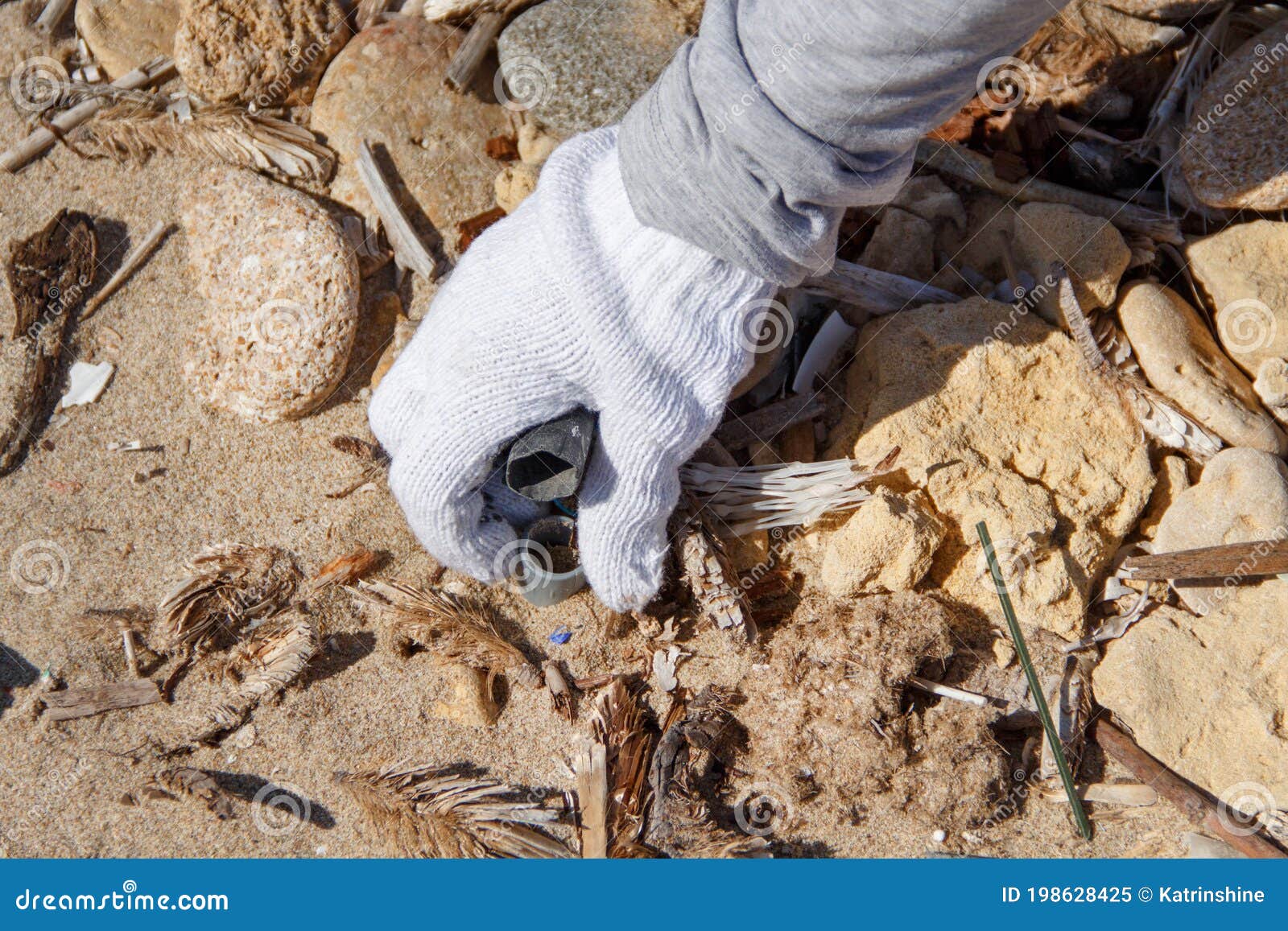 Somebody`s Hand in Glove Gathering Plastic Pieces from the Beach Stock ...