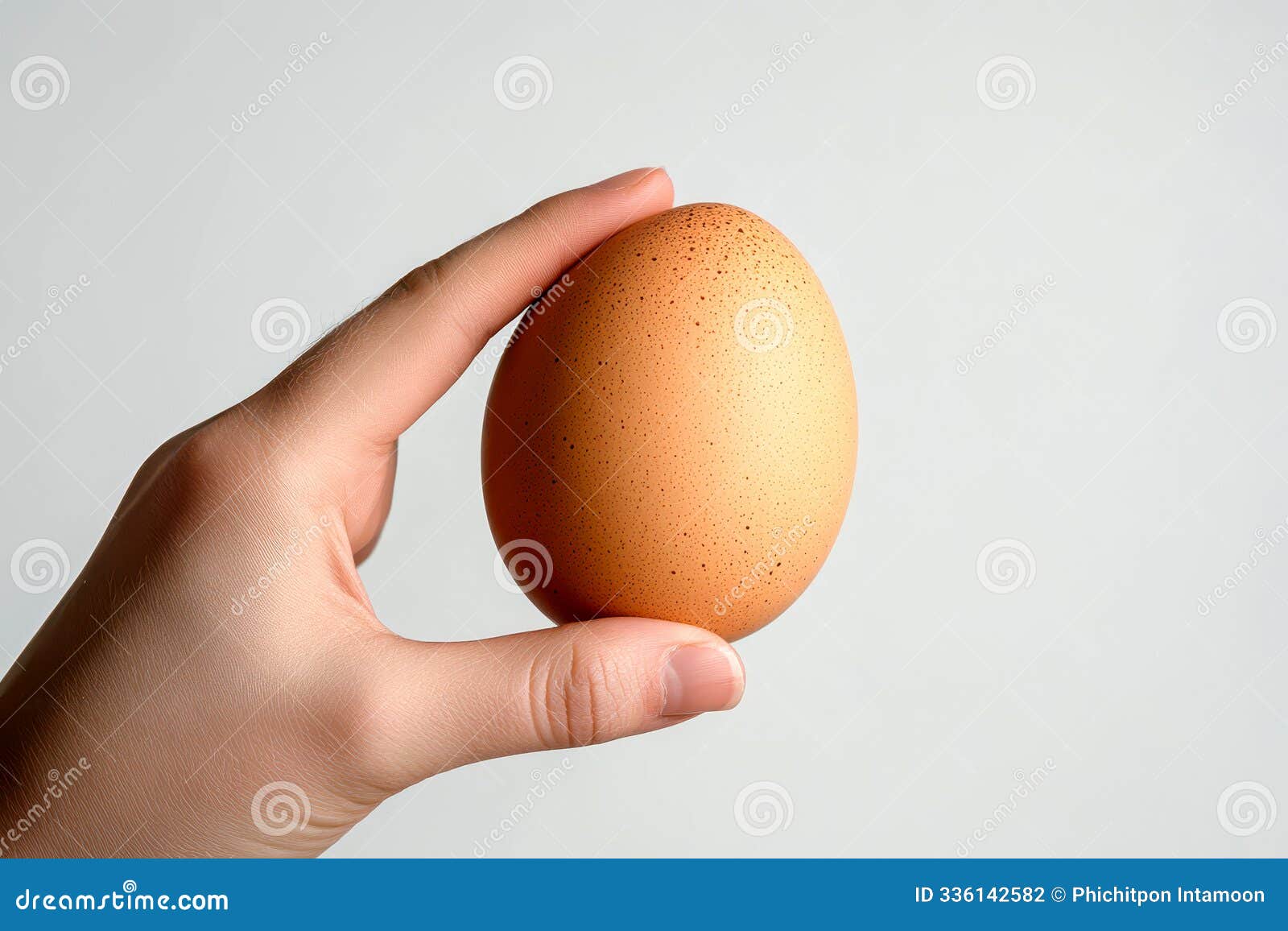 Someone Holding a Small Egg in Their Hand Against a White Background ...
