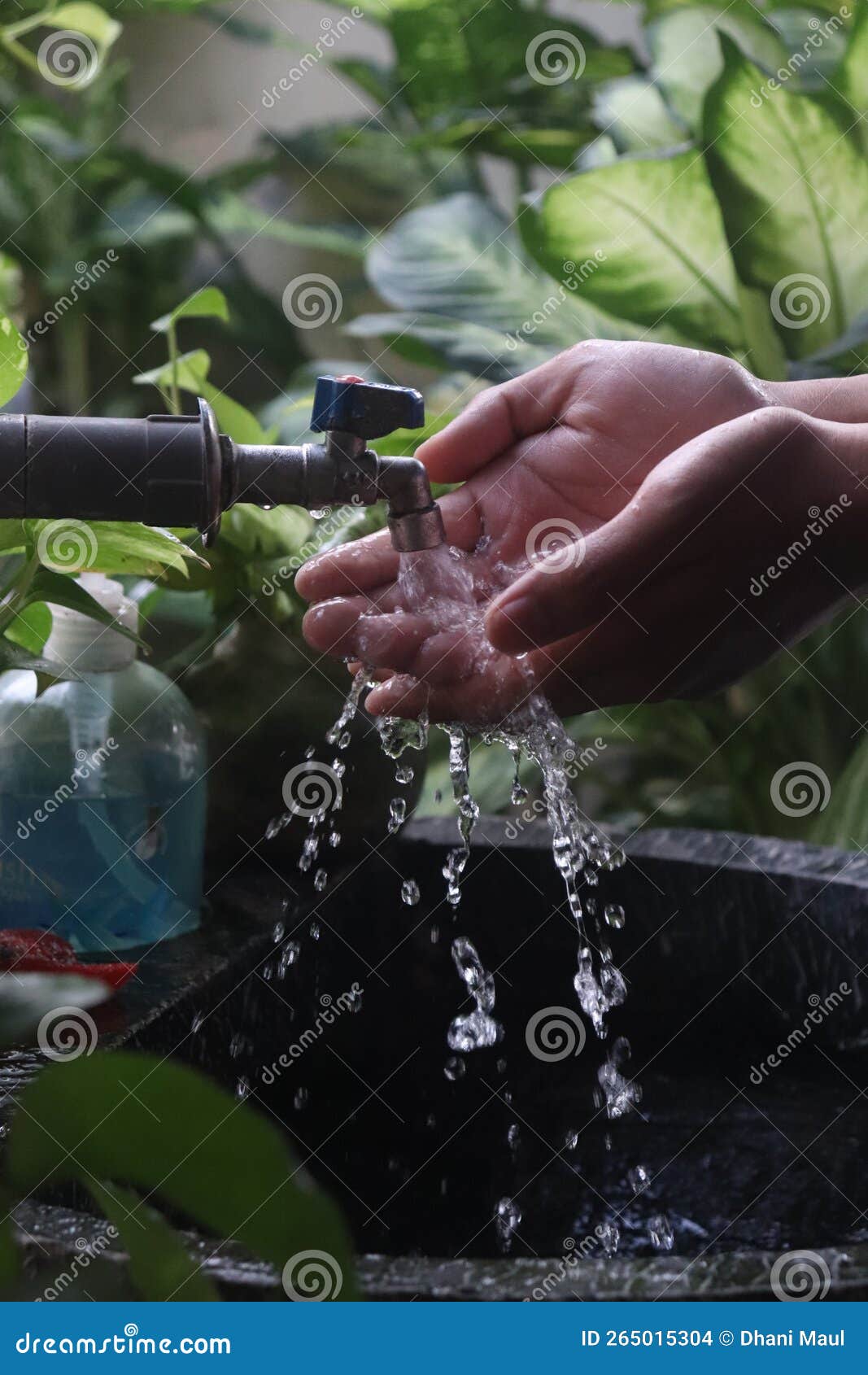 Someone Washing Their Hands Stock Photo - Image of washing, hands ...