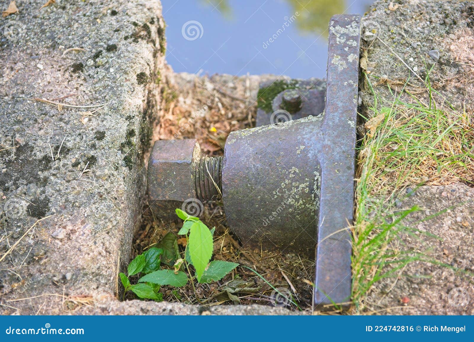 Something Unique and Special Stock Photo - Image of emotion, gray ...