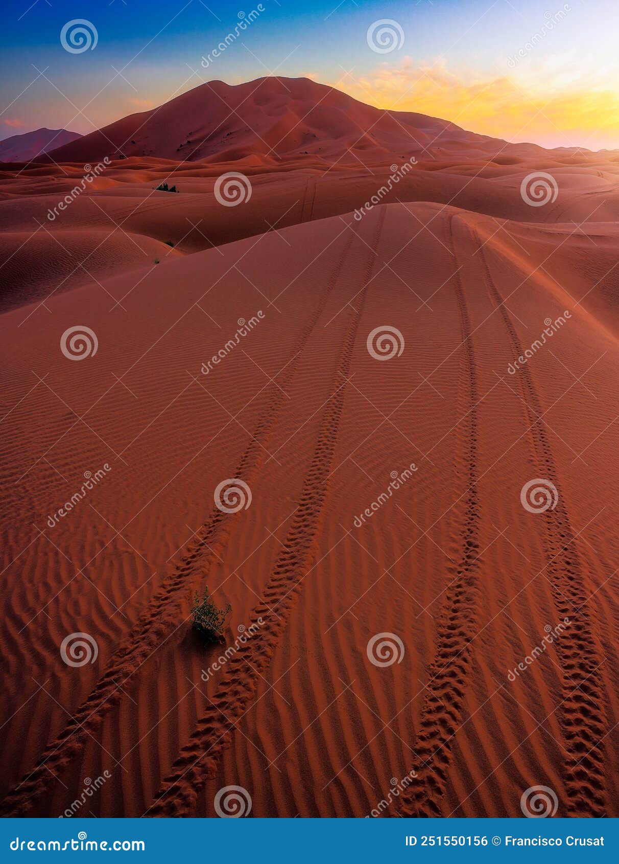 Amazing Sunset at the Dunes of Merzouga Stock Photo - Image of merzouga ...