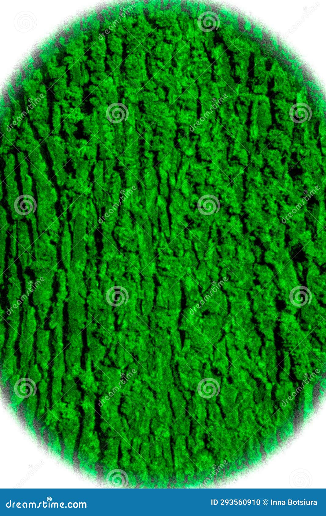 Something Wonderful and Incomprehensible, Unusual and Unpredictable ...