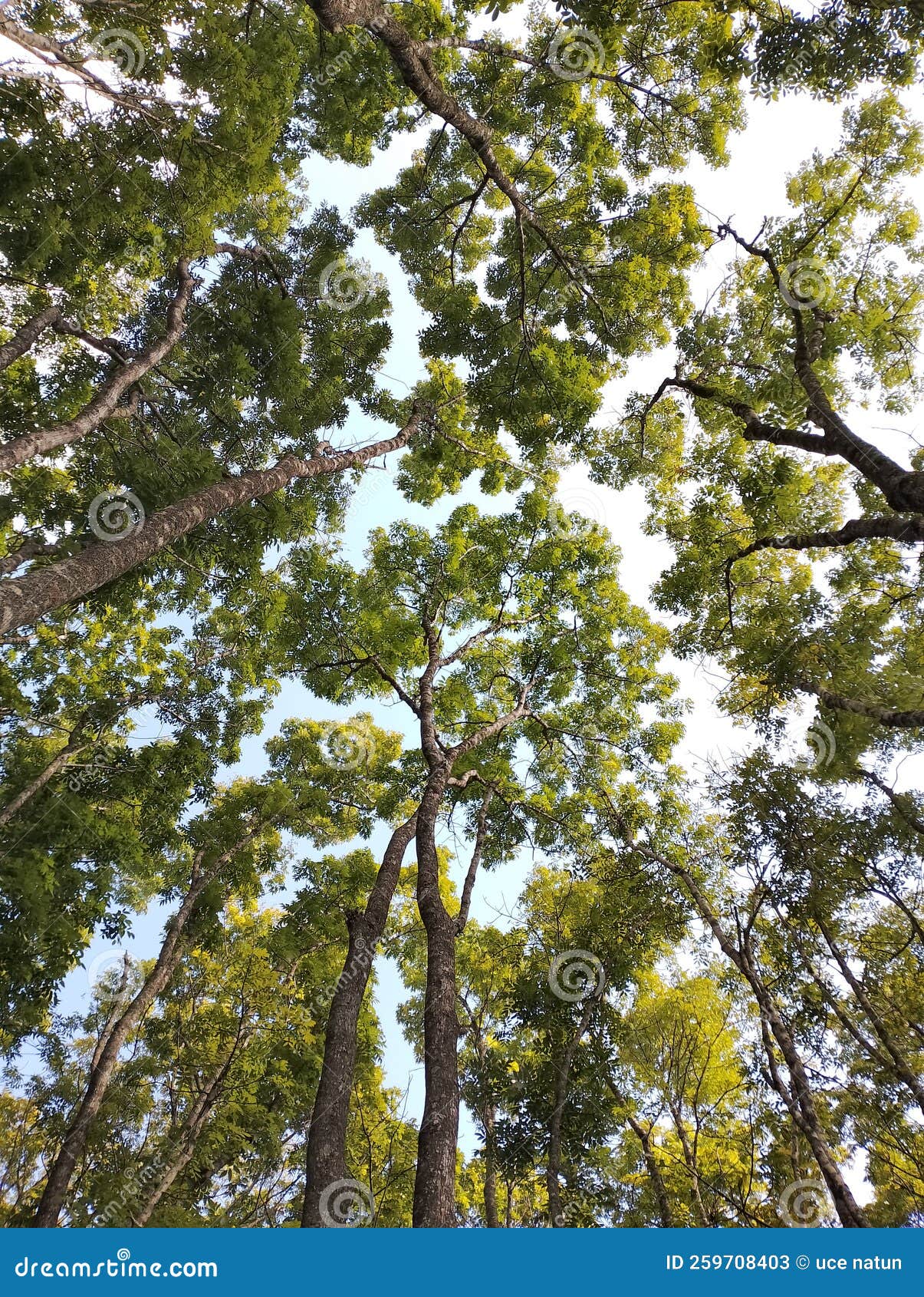 Sometimes we Need Time To Enjoy Nature Stock Image - Image of time ...