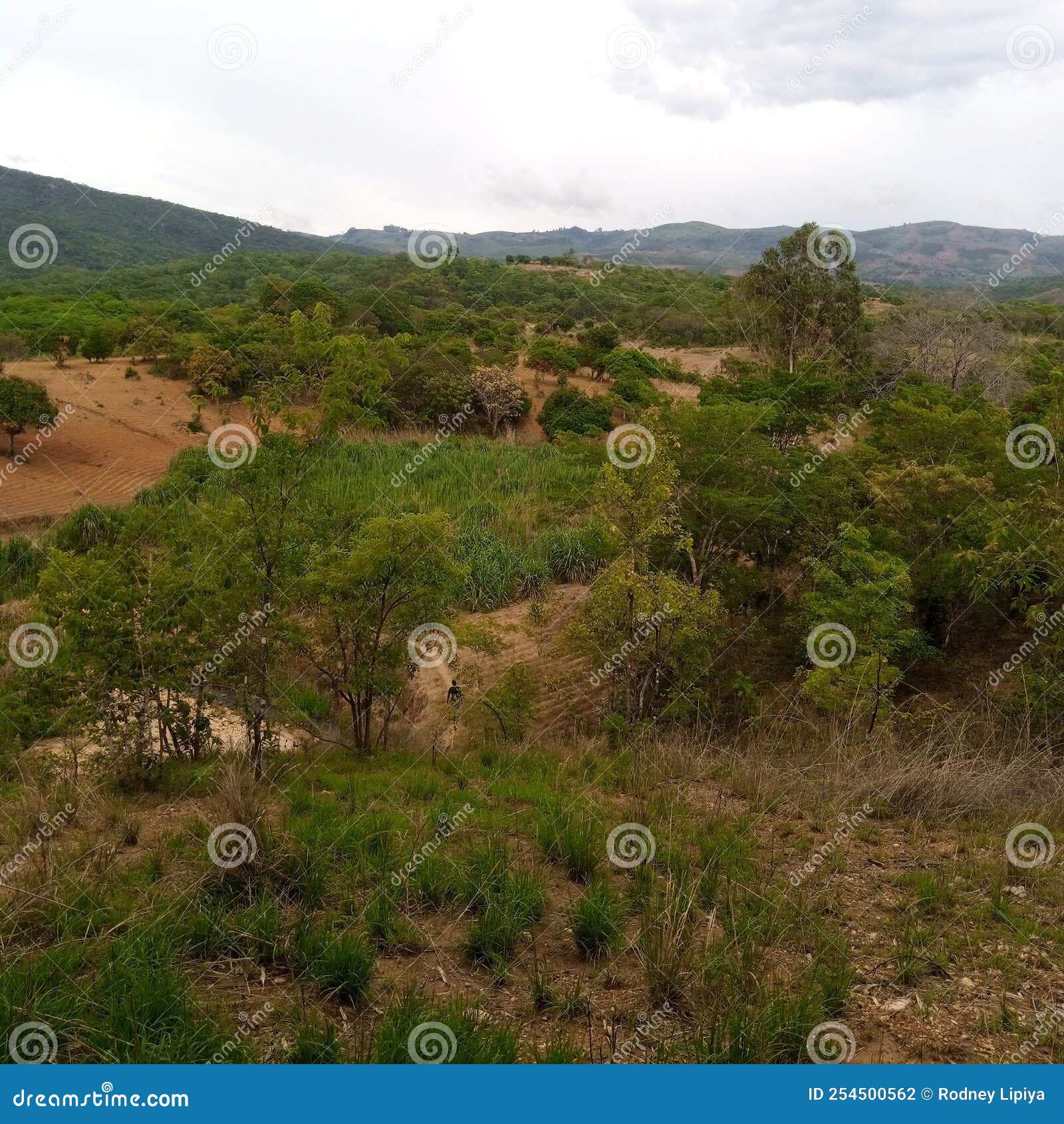 Somewhere in Neno District Malawi Stock Photo - Image of tree, ridge: 254500562