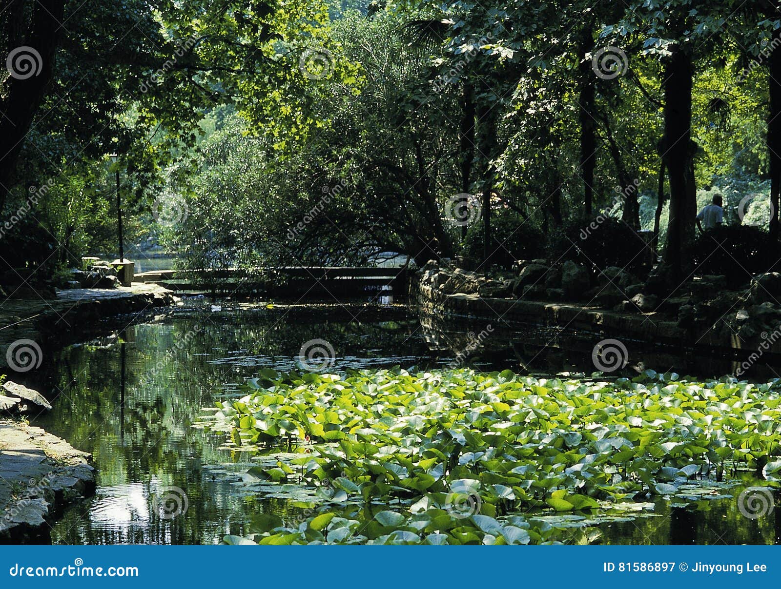 Sommarbilder fotografering för bildbyråer. Bild av bygganden - 81586897