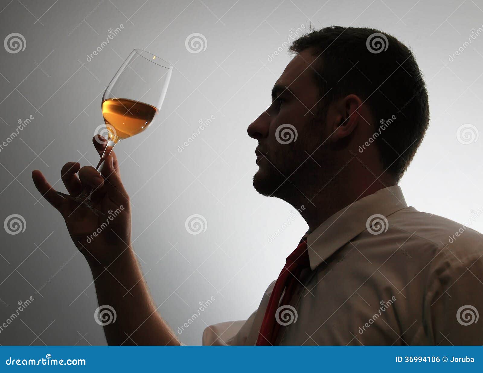 Sommelier fotografia stock. Immagine di caucasico, alcool - 36994106