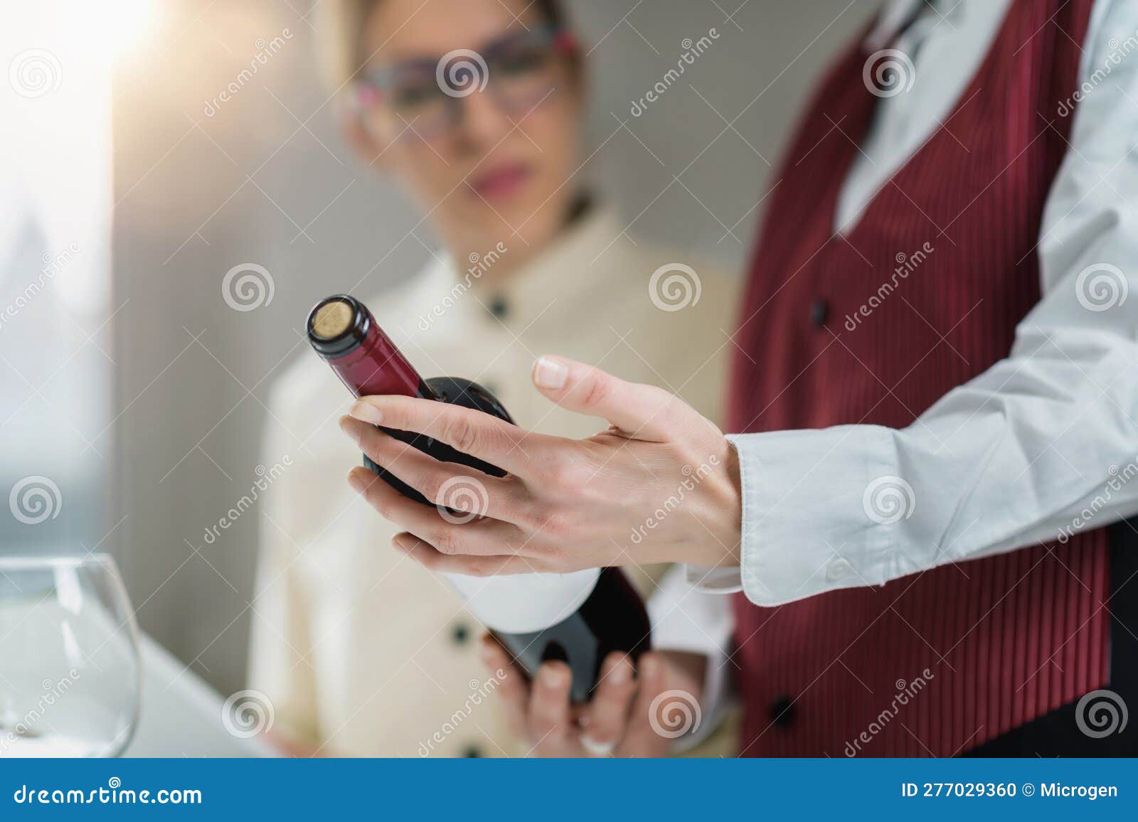 Sommelier training course stock photo. Image of history - 277029360