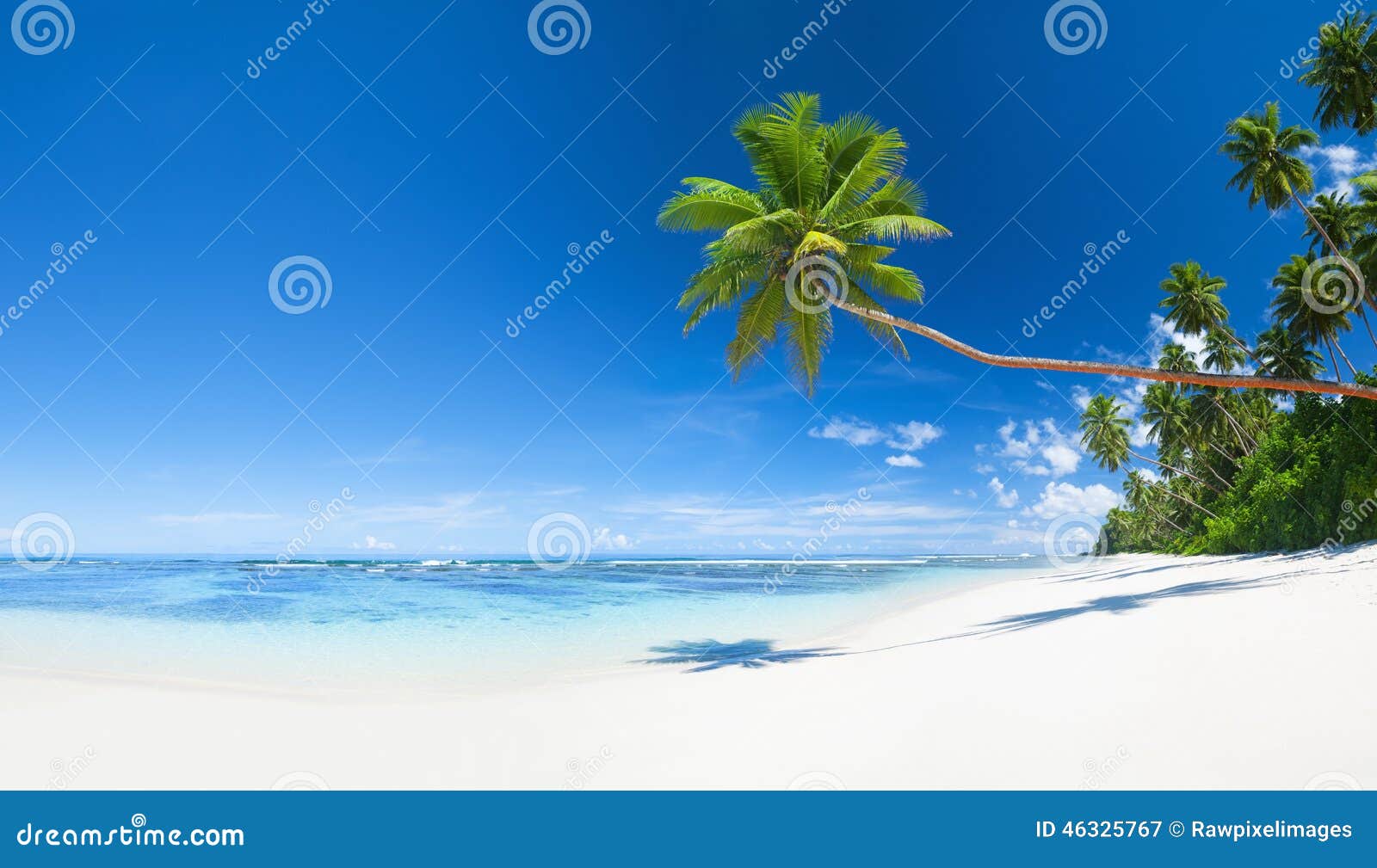 Sommer-Paradies-Strand Mit Klarem Himmel Stockbild - Bild von ...