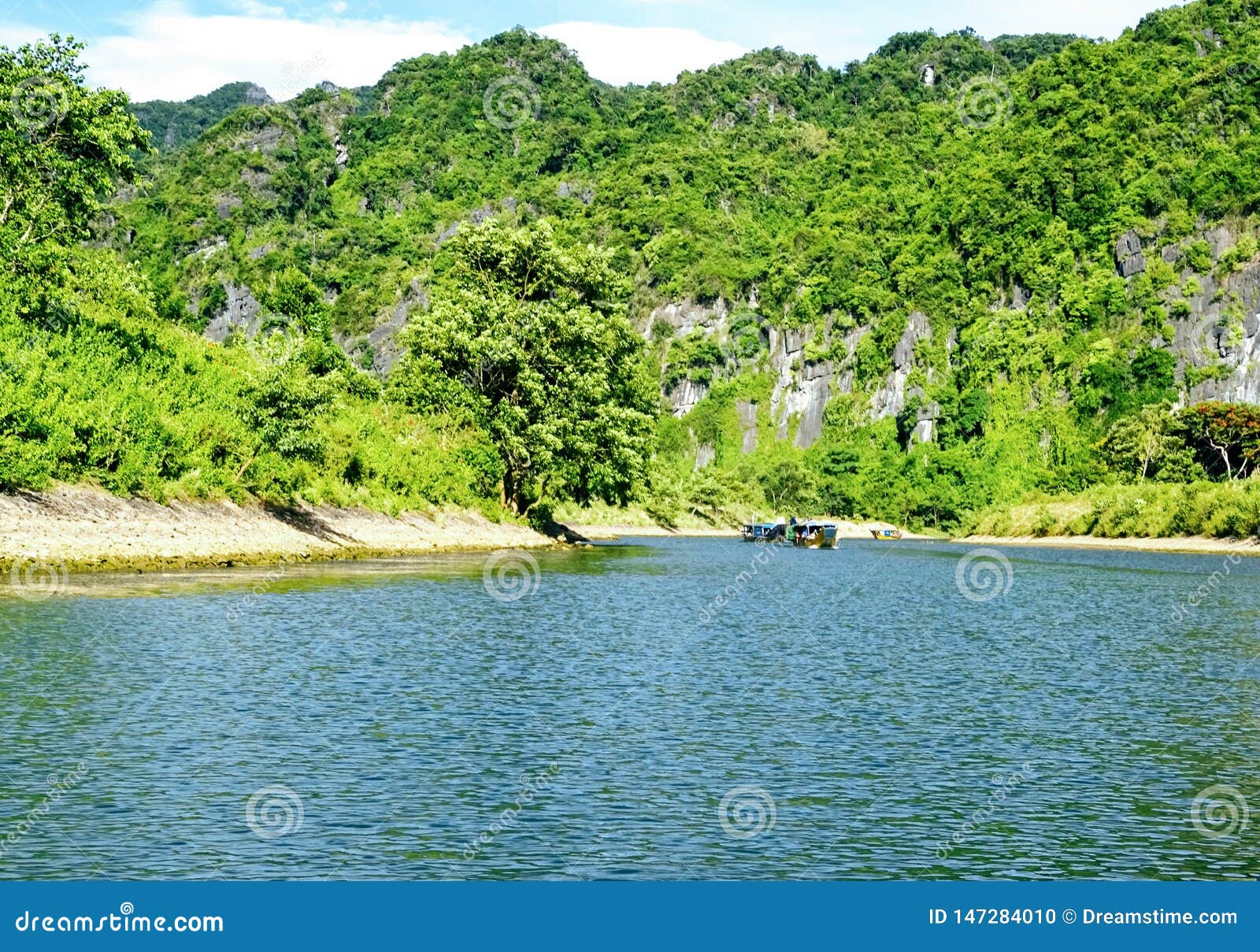 Son River Vietnam stock photo. Image of river, caves - 147284010