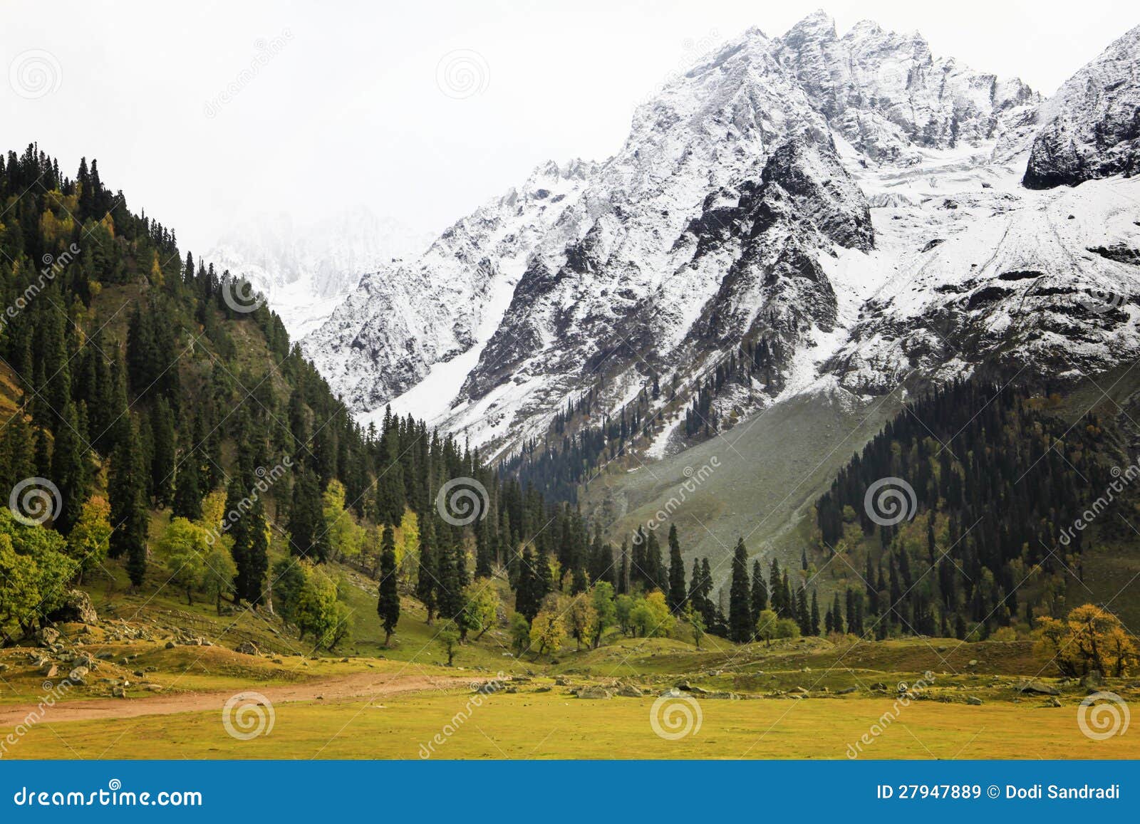 Natural Beauty Of Kashmir Wallpaper