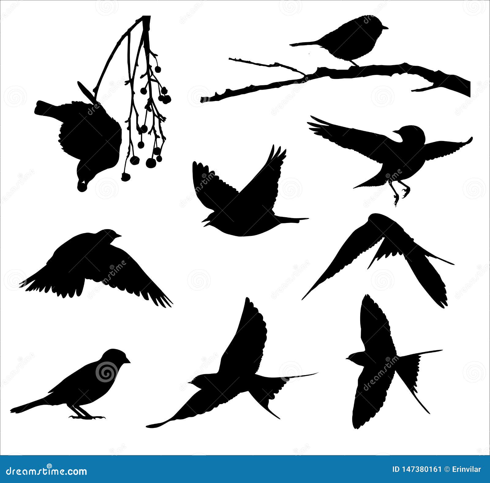 Song Birds Silhouettes Vector Set Stock Vector - Illustration of ...