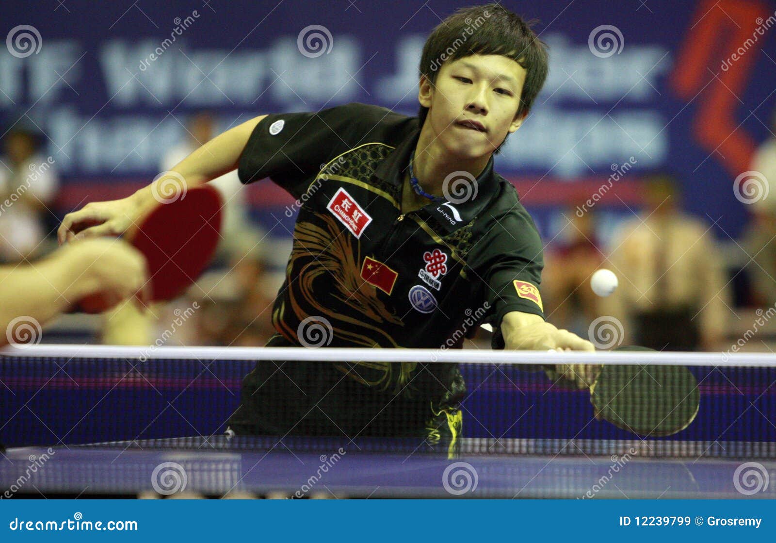 Song Hongyuan editorial stock image. Image of championships - 12239799