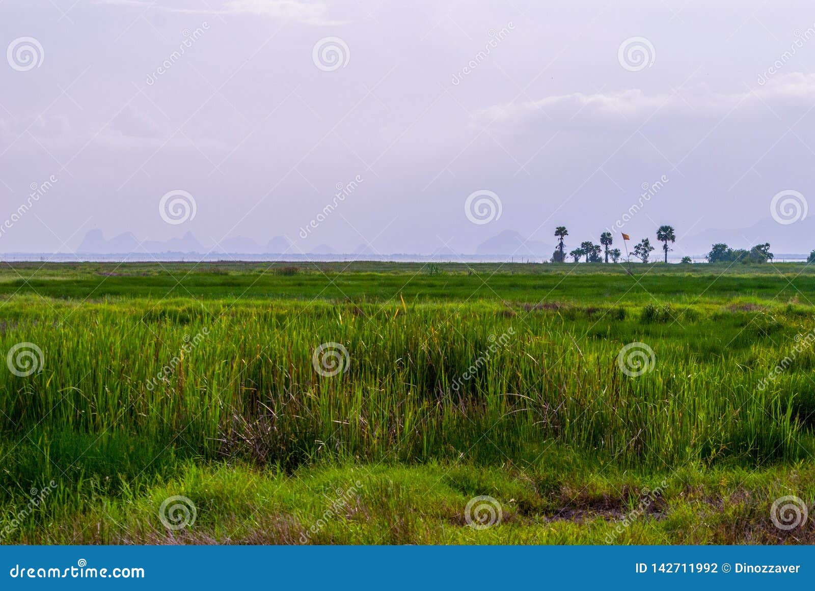 Songkhla Lake Scenery, Thailand Stock Photo - Image of oriental ...