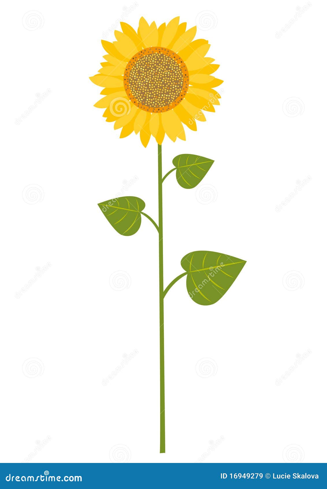 Sonnenblume vektor abbildung. Illustration von hell, blüte - 16949279