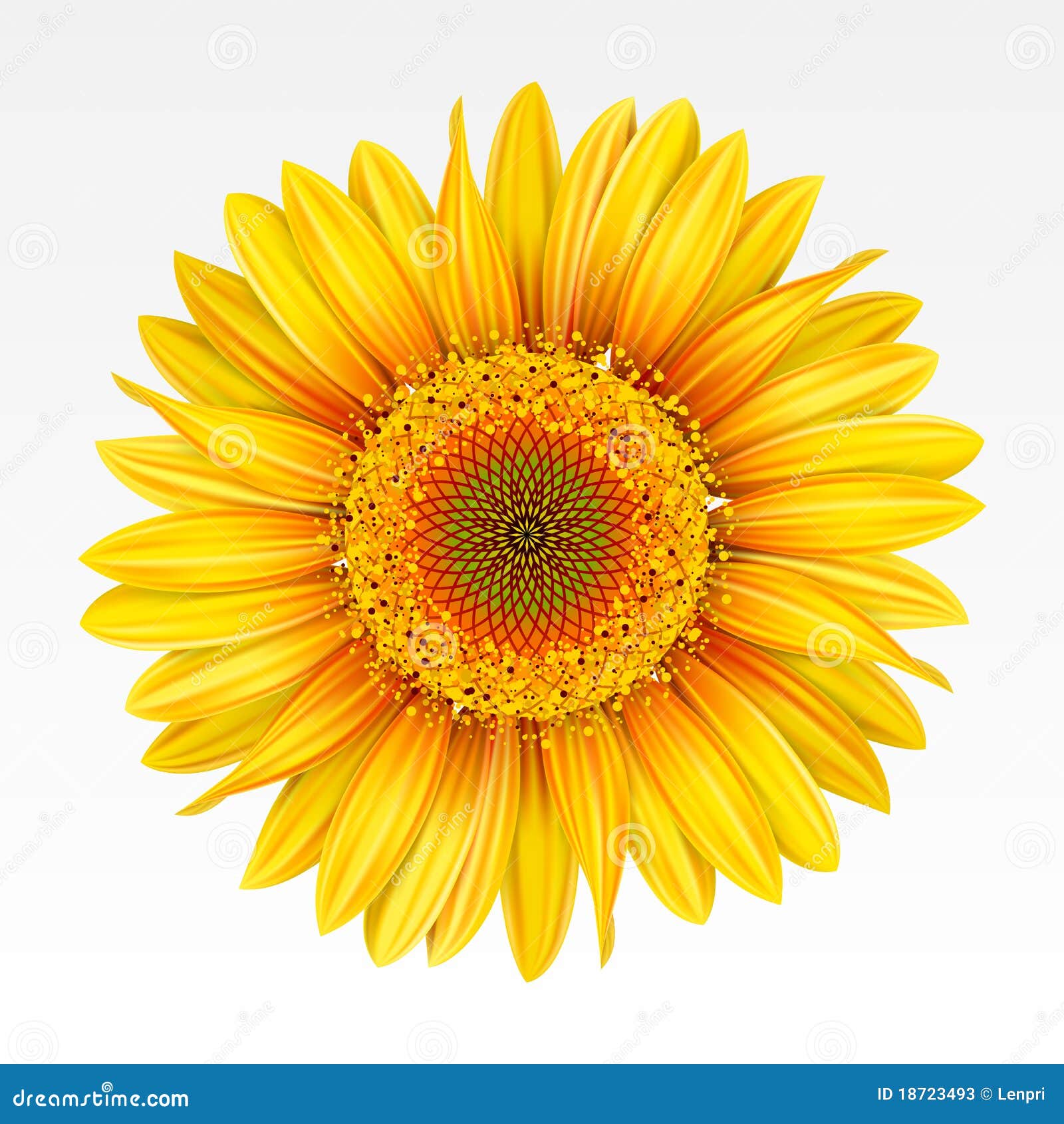 Sonnenblume vektor abbildung. Illustration von hell, blume - 18723493