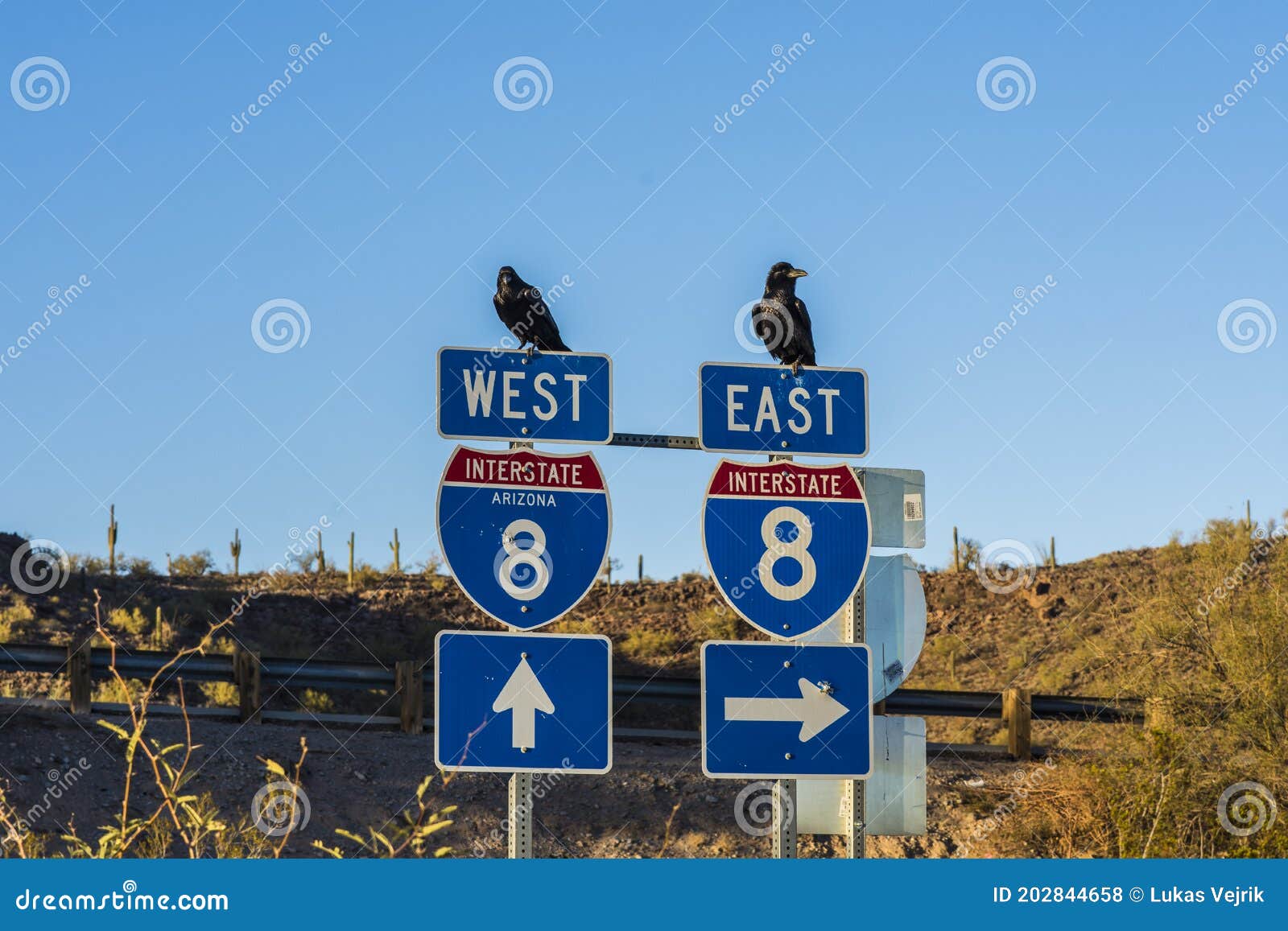 SONORA, ARIZONA: the Traffic Signs in Arizona-Sonora Desert Stock Photo ...