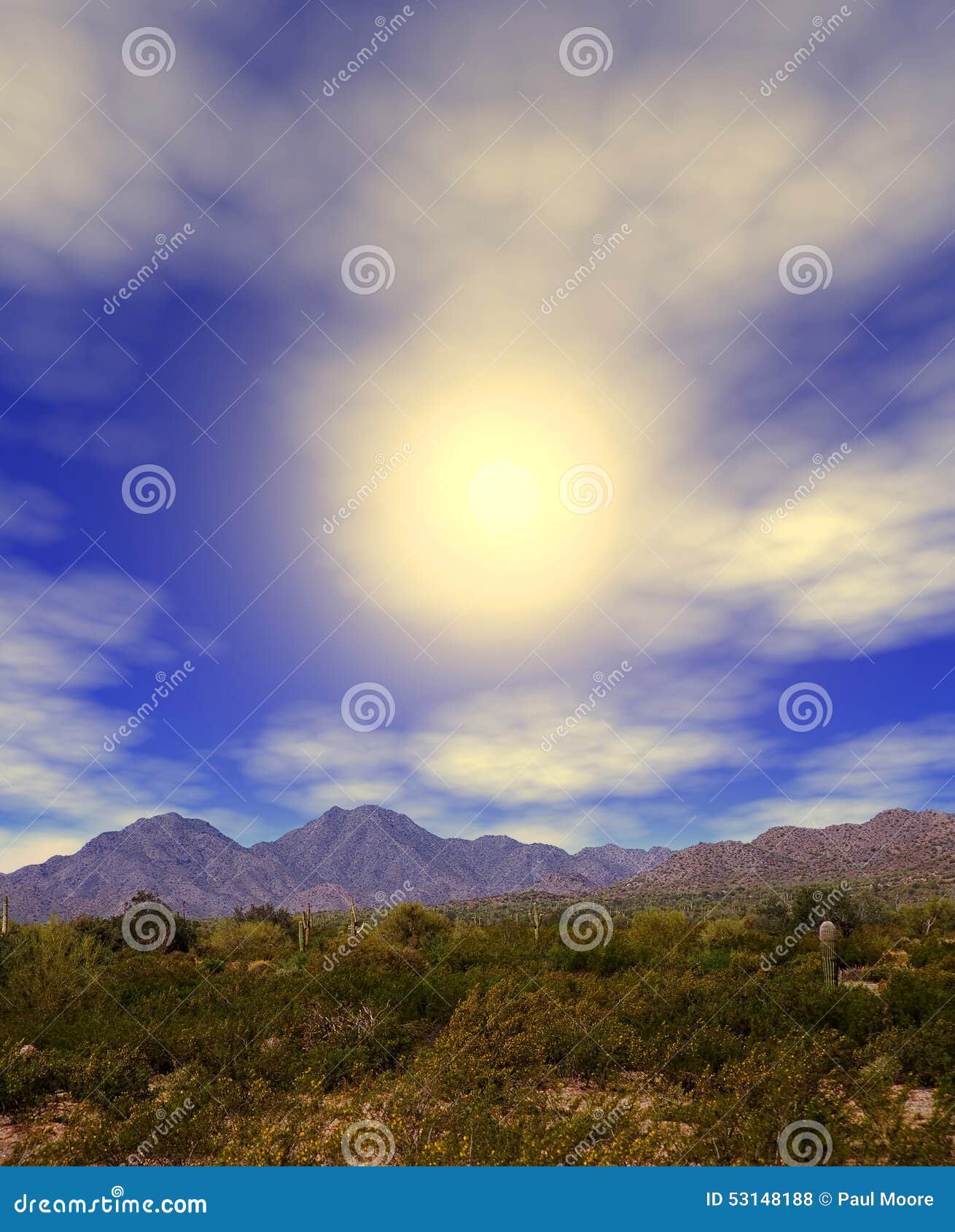 Sonora Desert Sun stock photo. Image of outdoors, solitude - 53148188