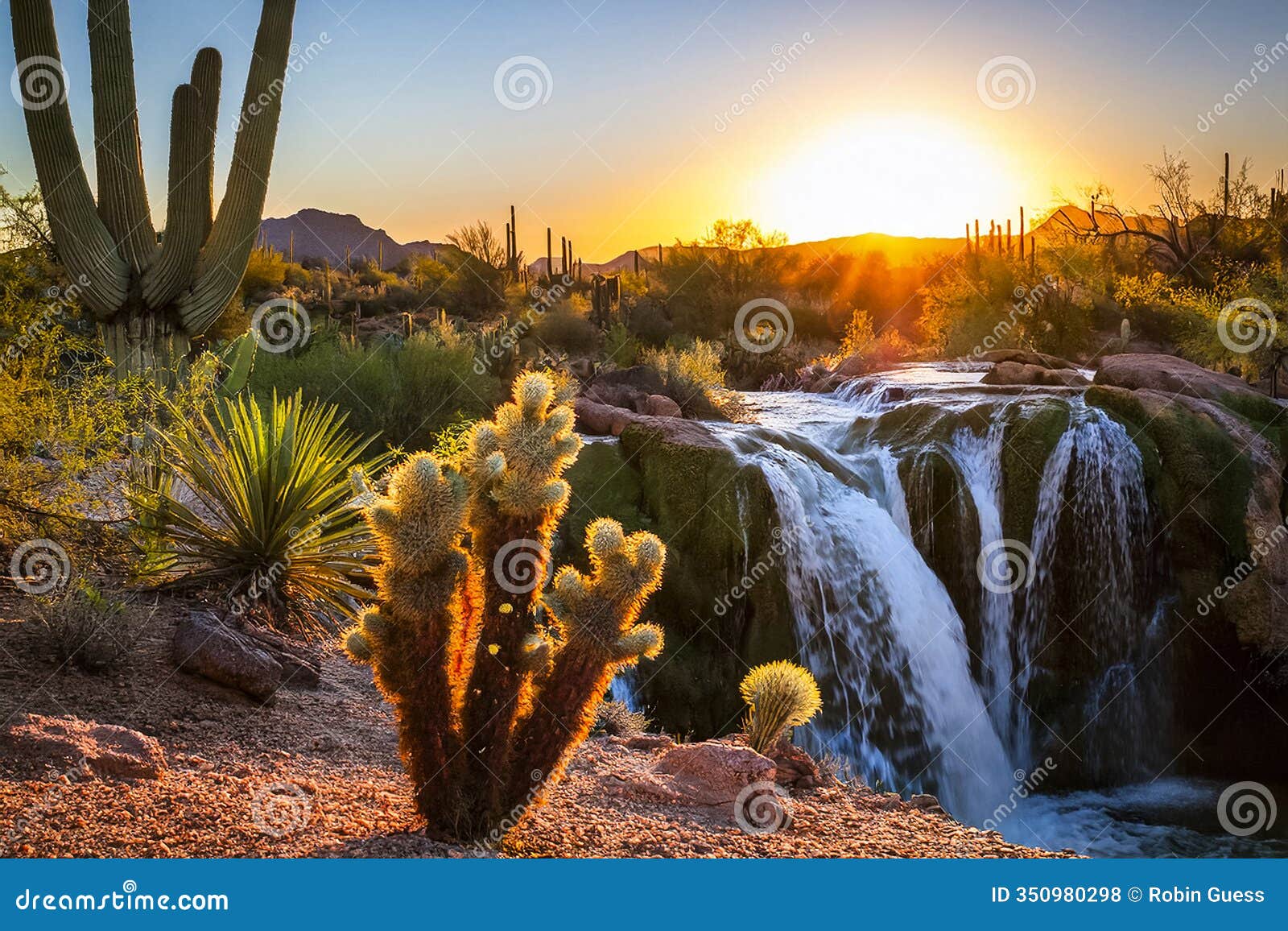 Sonoran Desert Waterfall AI Generated Stock Illustration - Illustration ...