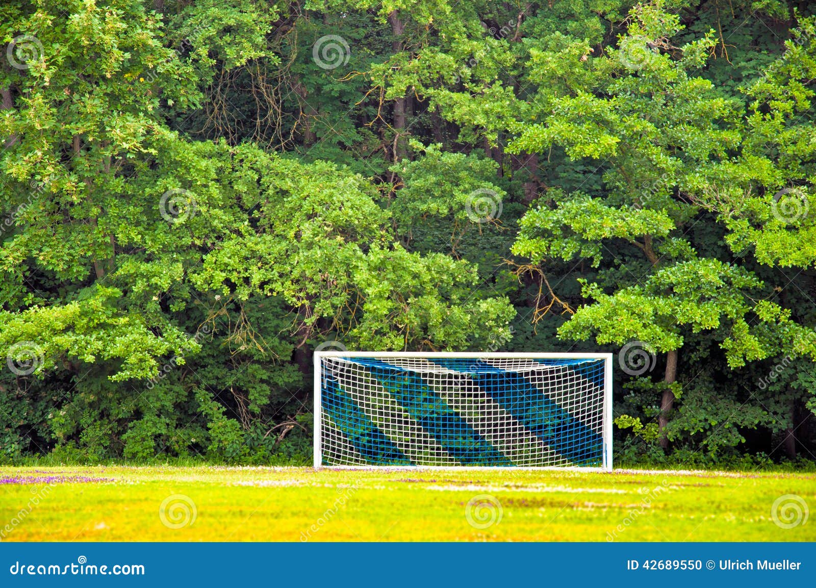 Soocer goal in Forest stock photo. Image of game, competition - 42689550