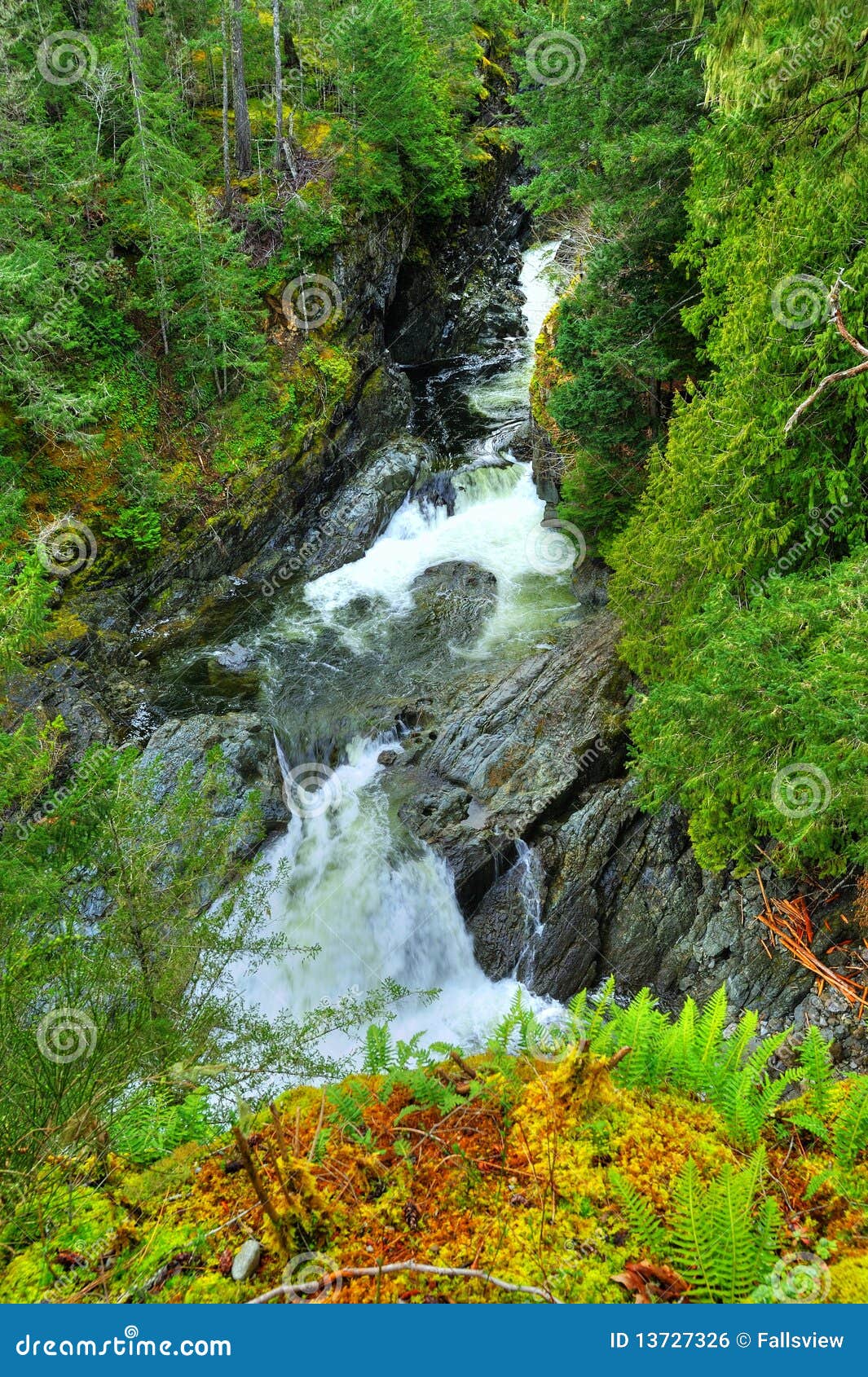 Sooke Potholes and Waterfall Stock Photo - Image of travel, pothole ...