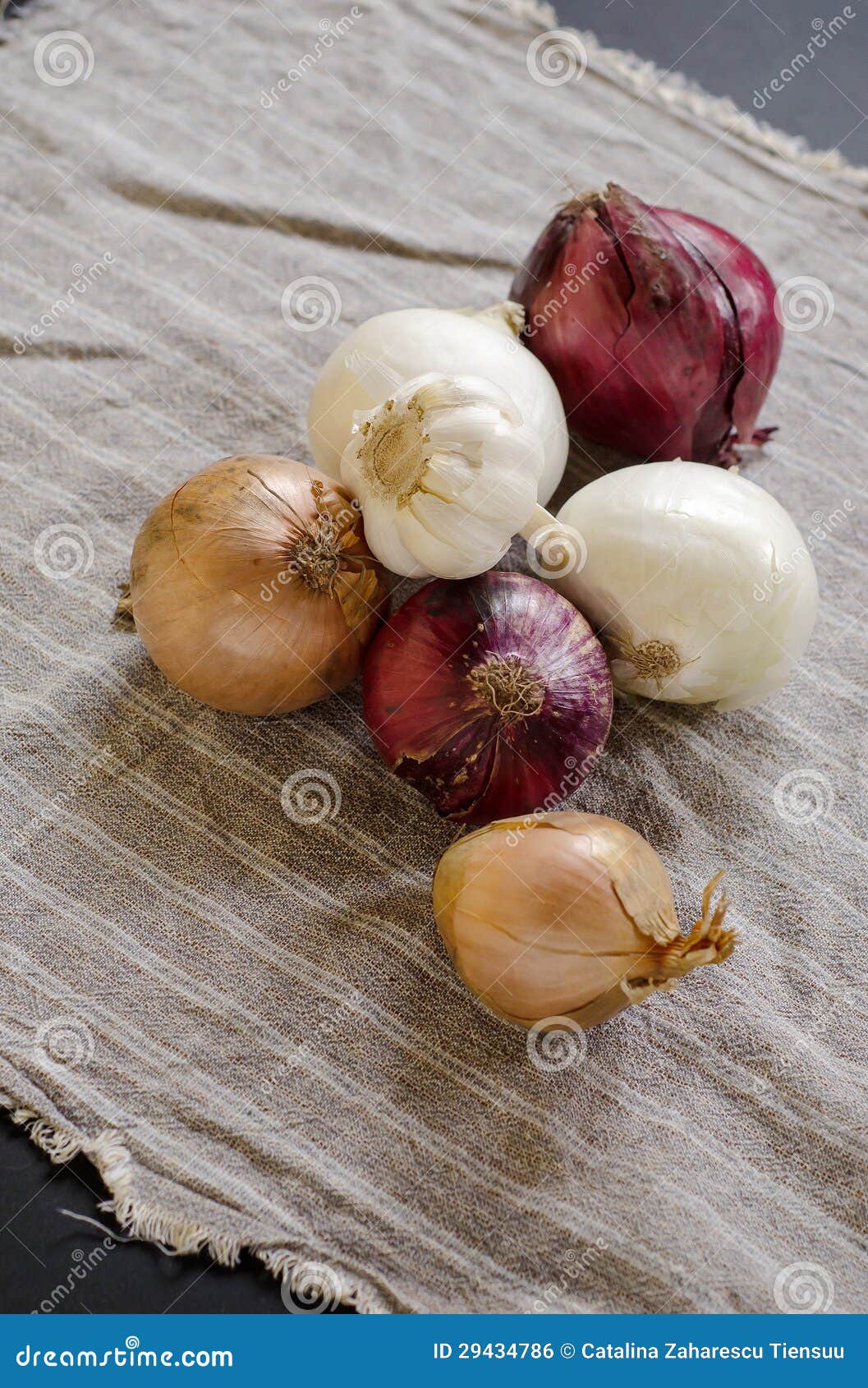 Soort Vier Op Uien En Knoflook Stock Foto - Image of klein, gezond ...