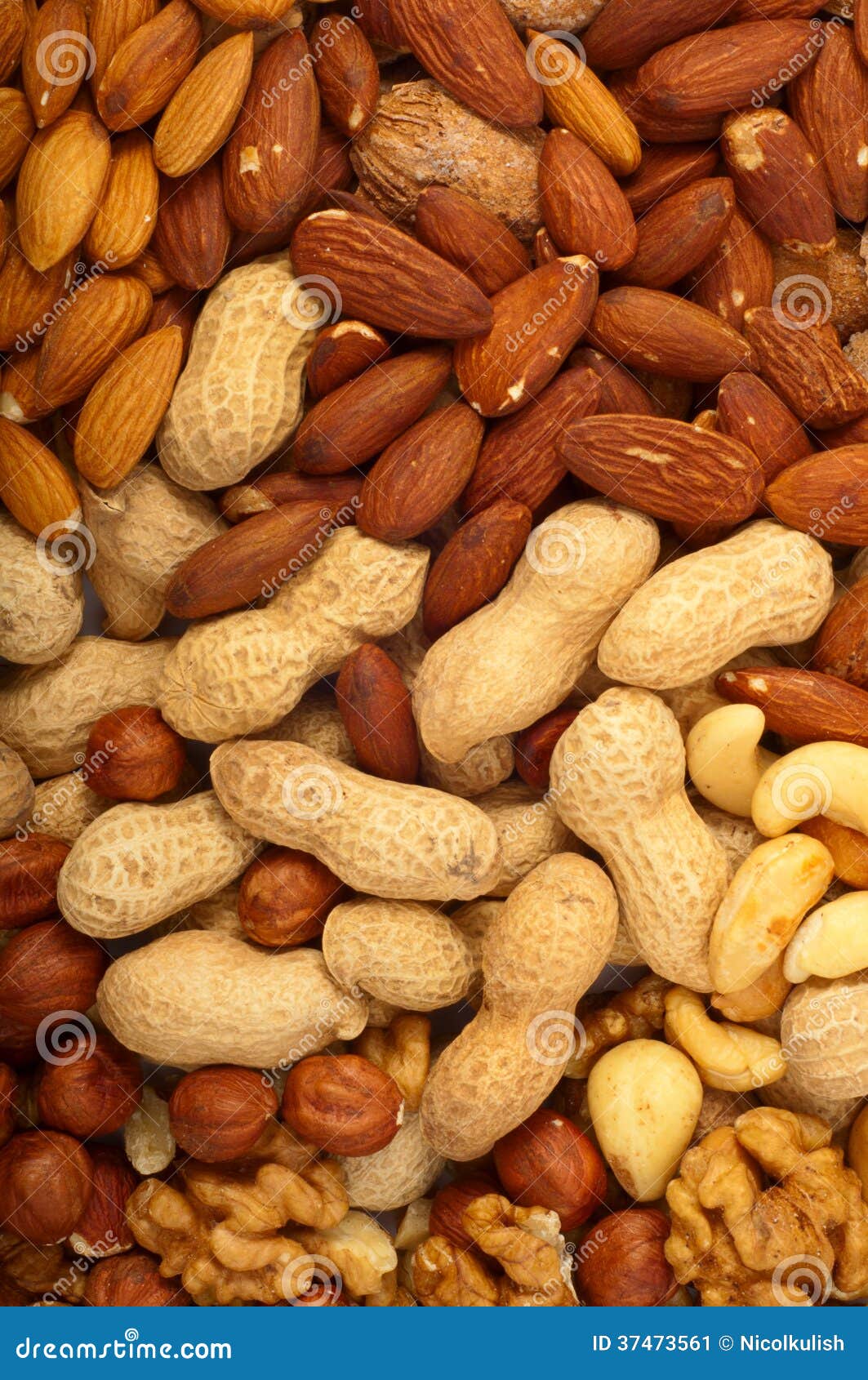 Soorten noten stock afbeelding. Image of gezondheid, pinda - 37473561