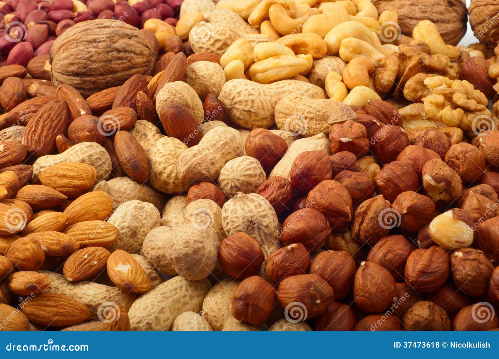 Soorten noten stock foto. Image of droog, verschillend - 37473618