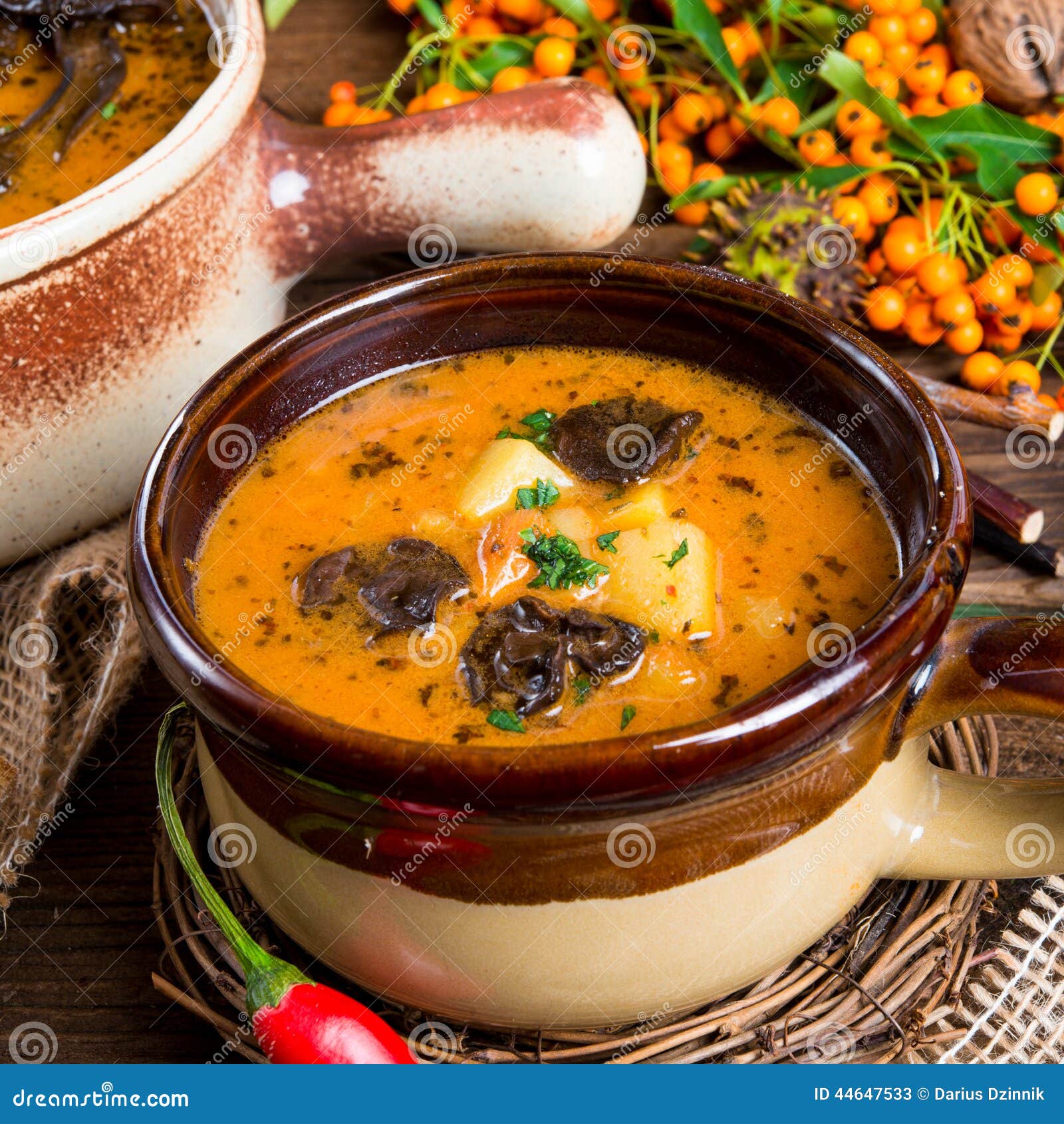 Sopa de rabo de buey imagen de archivo. Imagen de oxtail - 44647533