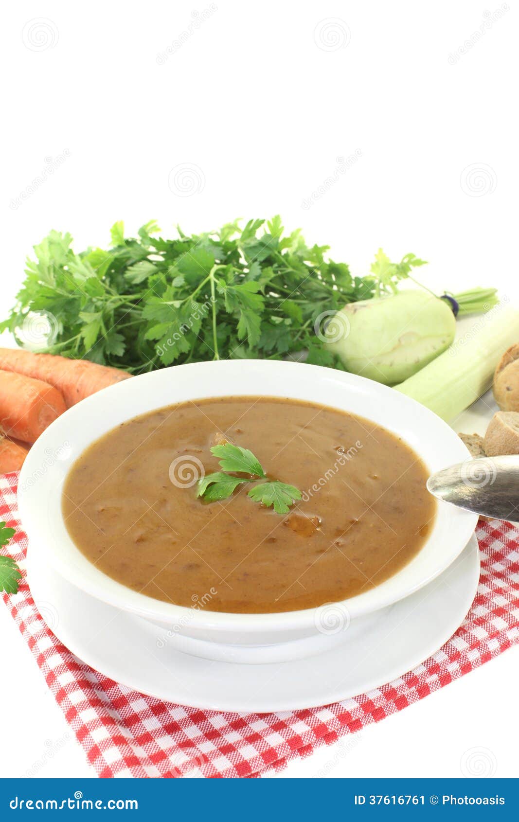 Sopa De Rabo De Buey Con Perejil Imagen de archivo - Imagen de verdes ...