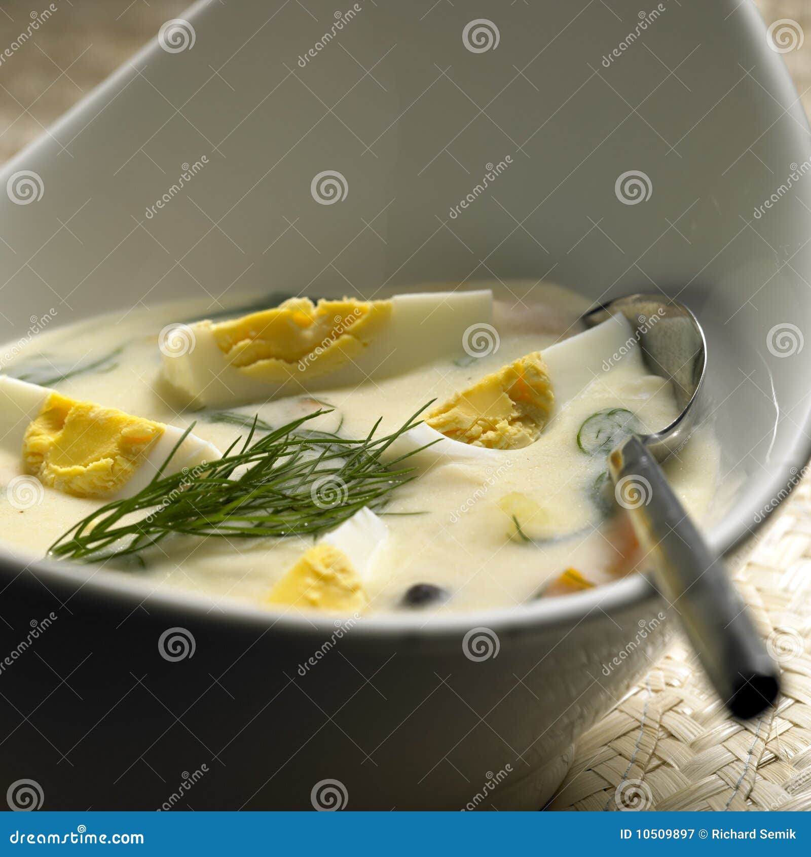 Sopa do aneto imagem de stock. Imagem de pratos, sopas - 10509897