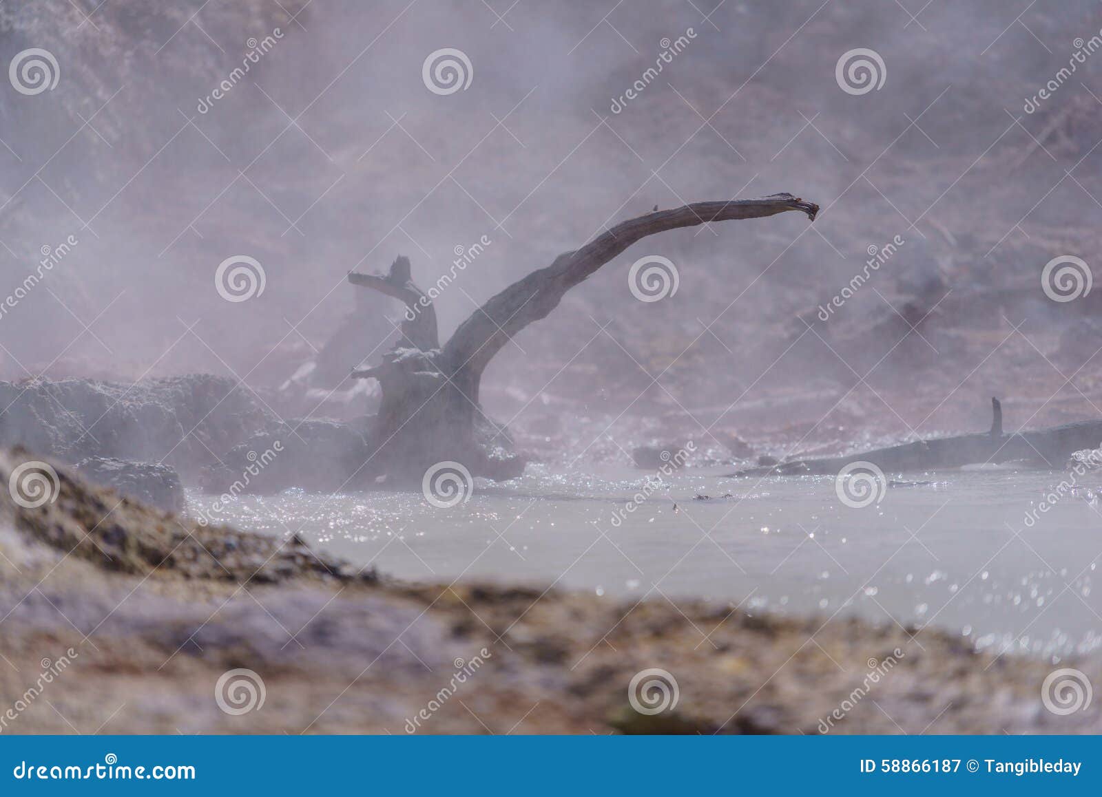 Sopa primordial imagem de stock. Imagem de espectacular - 58866187