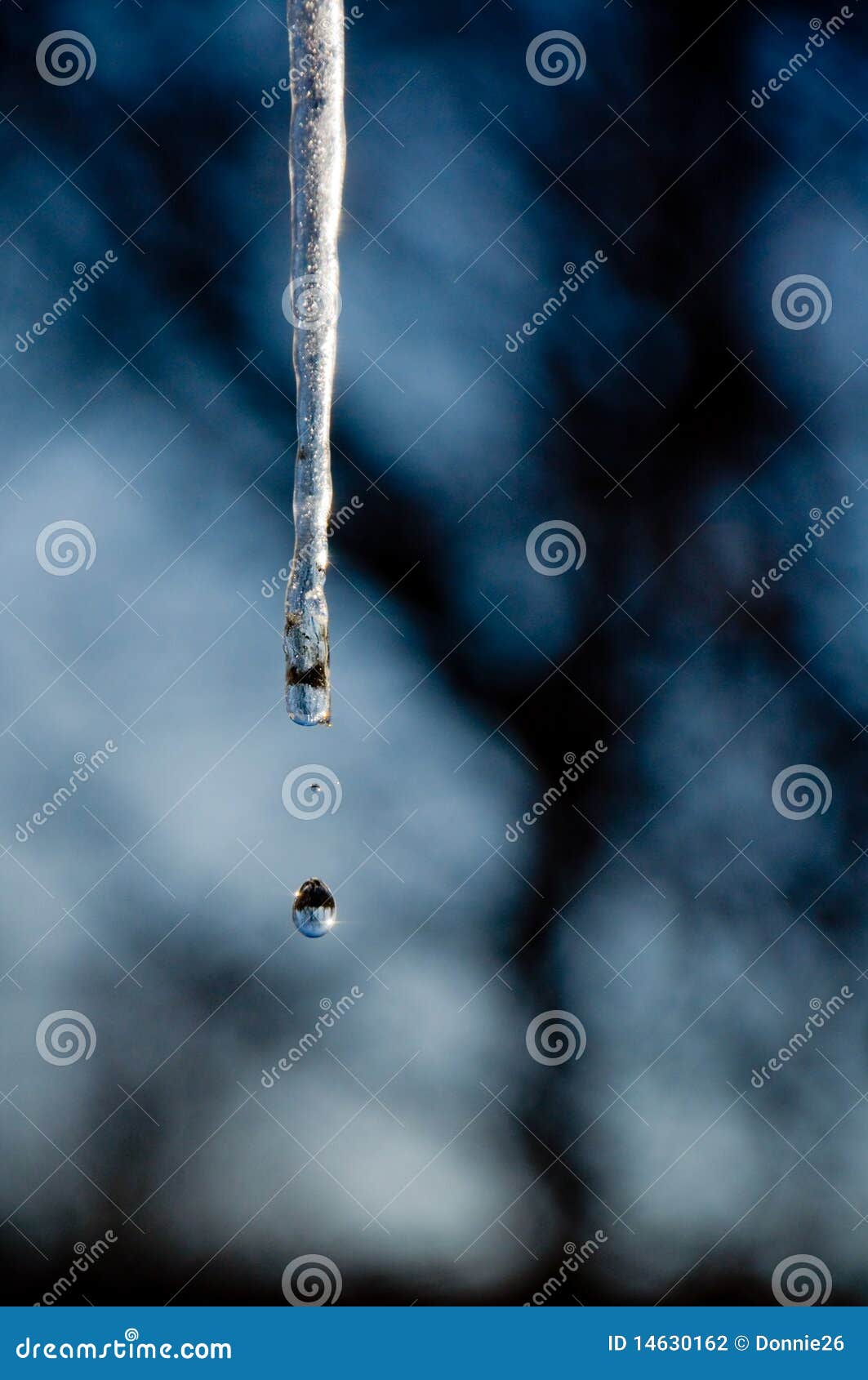 Sopel zdjęcie stock. Obraz złożonej z chłodny, dach, śnieg - 14630162