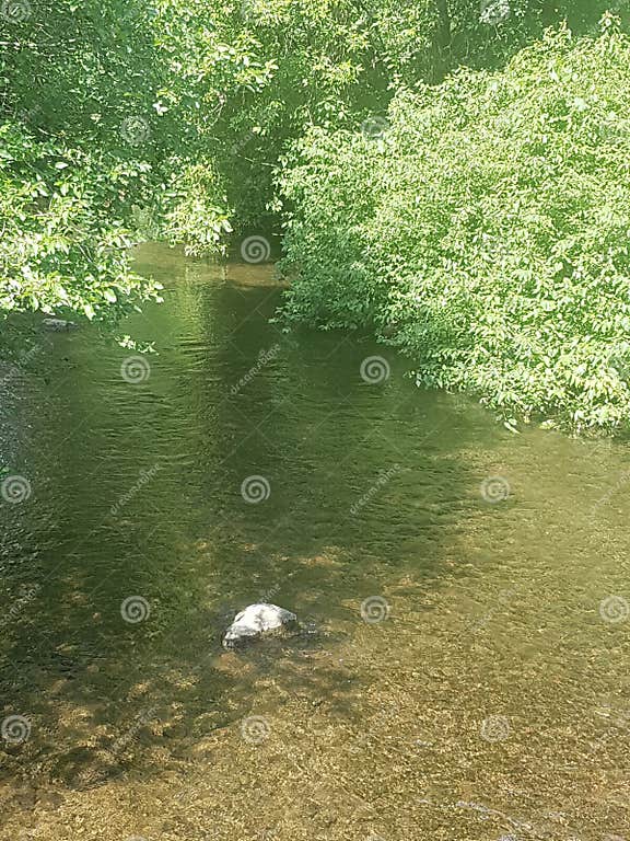 Soper park creek stock image. Image of aqua, naturelover - 192046277
